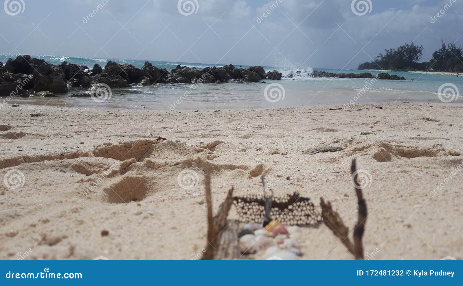 Prime Beach Front Property stock photo. Image of ocean - 172481232