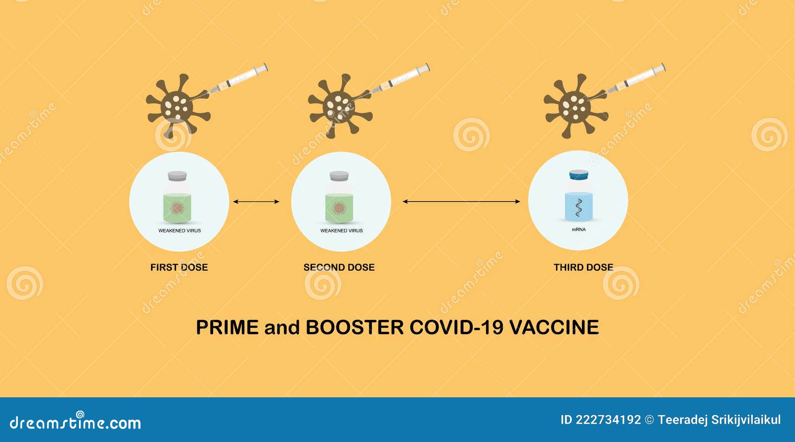 Prime and Booster Covid-19 Vaccination for Higher Immunity Stock Vector ...