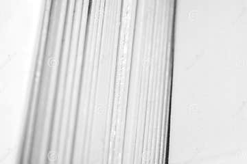 Primed Canvas Panel. Paper Samples for Printing House Stock Photo ...