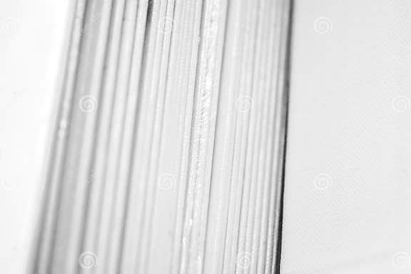 Primed Canvas Panel. Paper Samples for Printing House Stock Photo ...