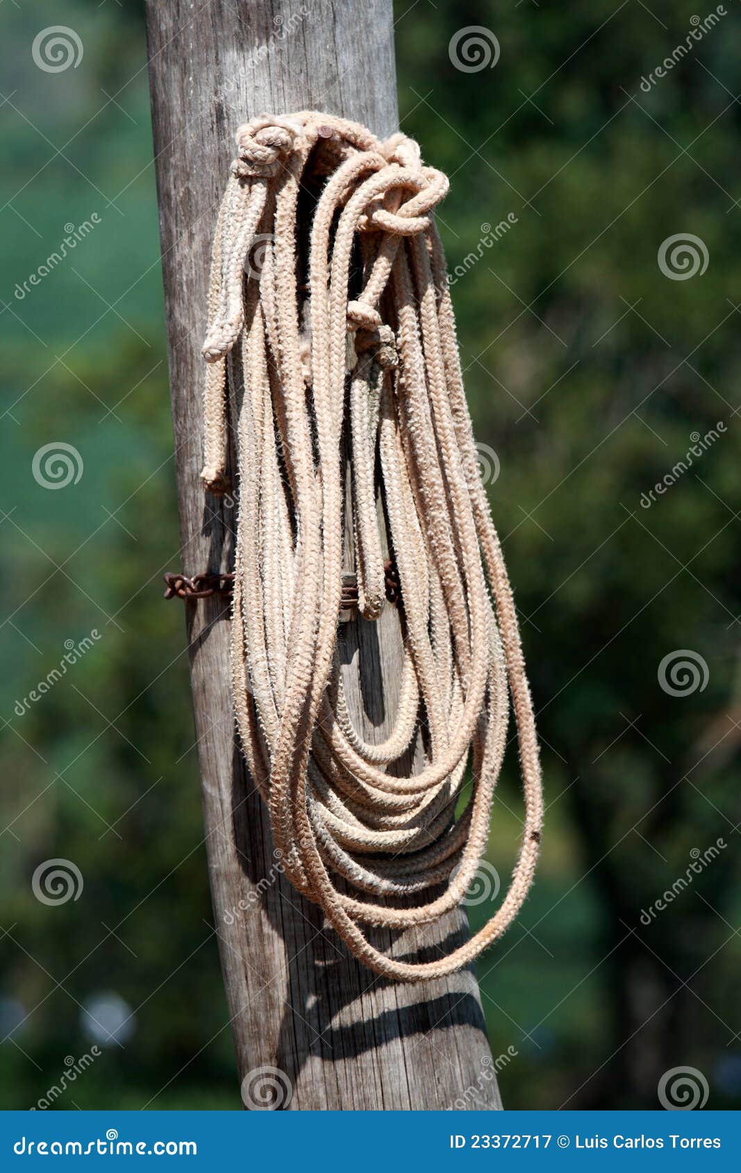 Primer Colgado De La Cuerda Imagen de archivo - Imagen de cadena ...