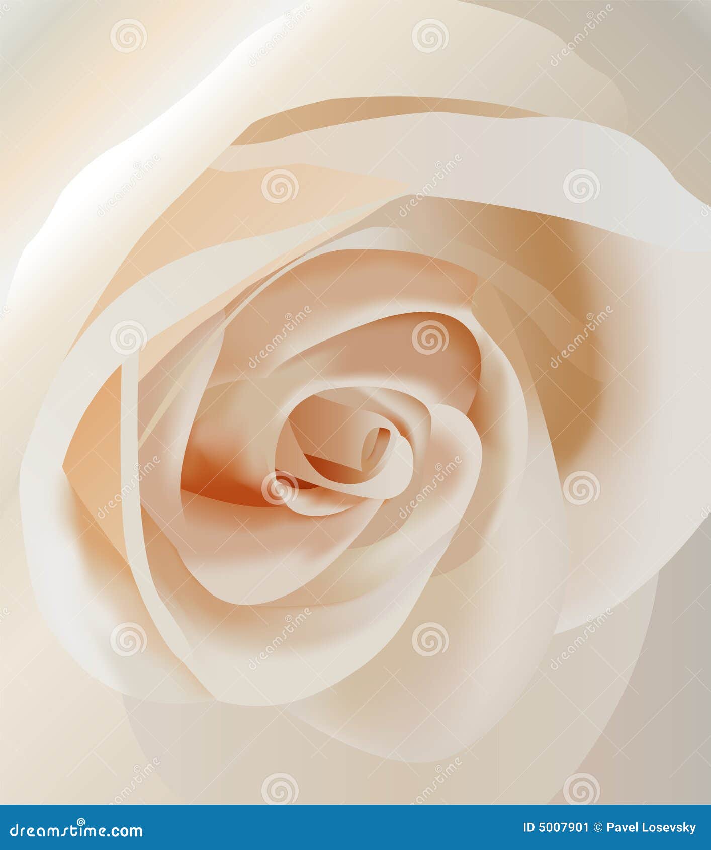 Primer Color De Rosa Del Blanco Del Vector Ilustración del Vector ...