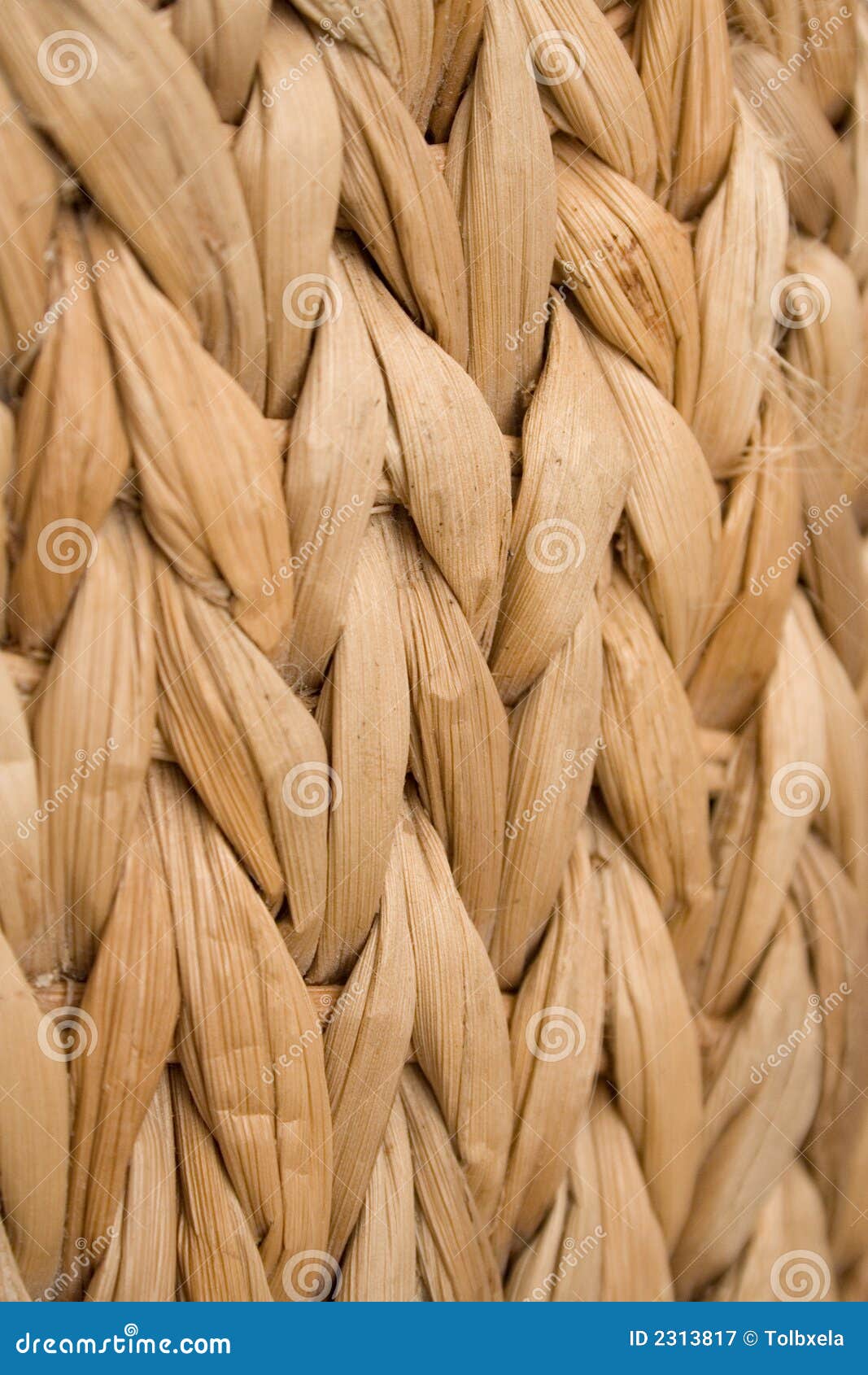 Primer De La Cestería De La Rota Imagen de archivo - Imagen de ...