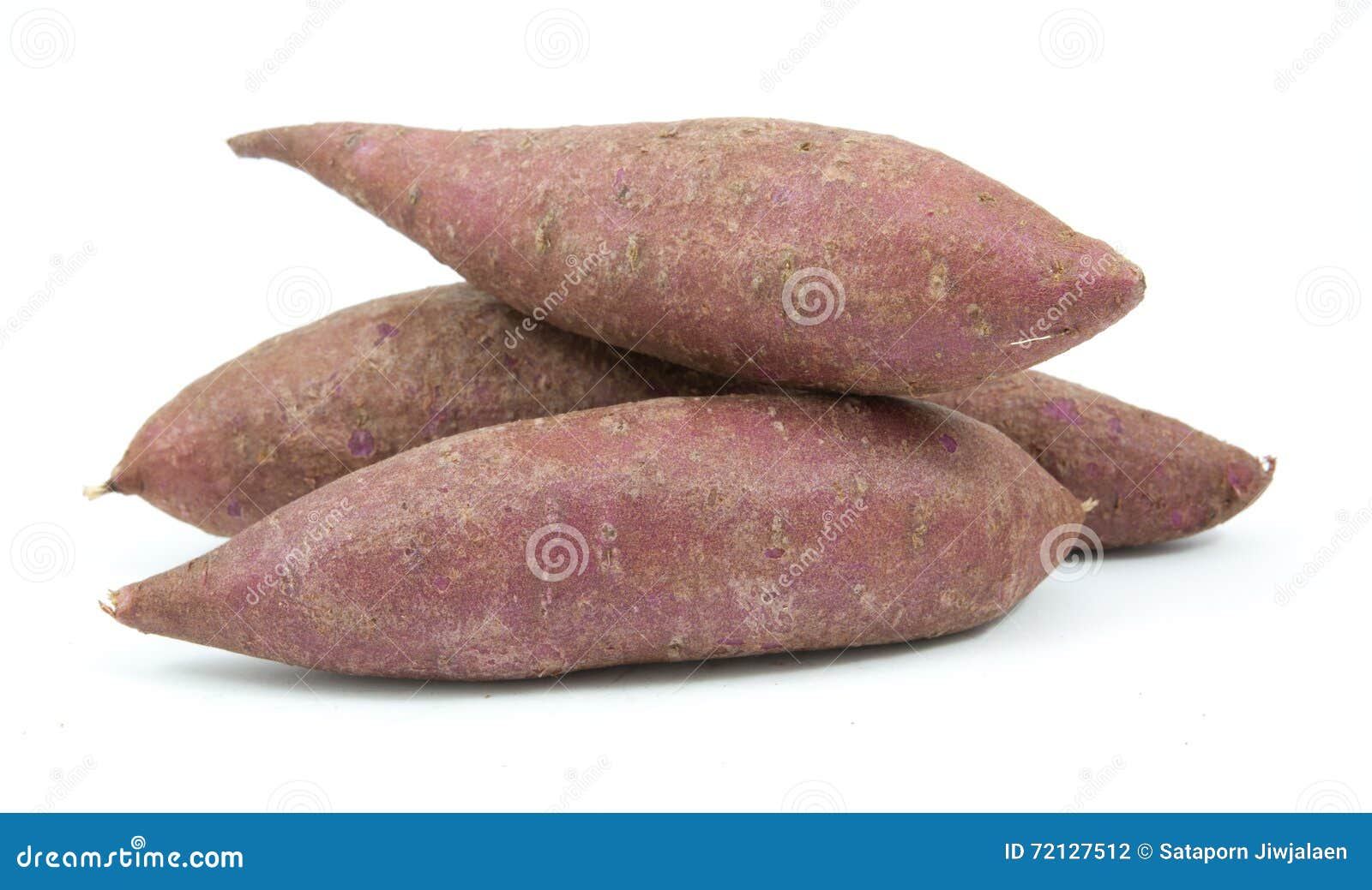 Primer De La Mandioca De Las Plantas De Tapioca Aislado Foto de archivo ...