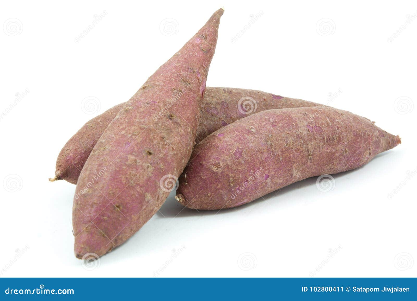 Primer De La Mandioca De Las Plantas De Tapioca Aislado Imagen de ...