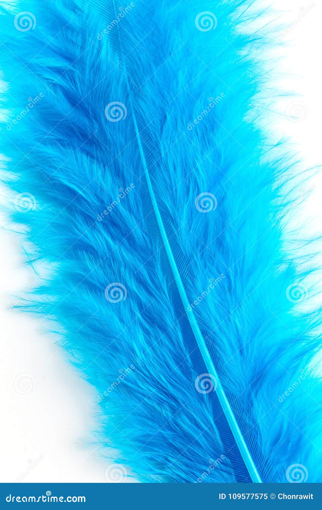 Primer De La Pluma Azul Aislado En Blanco Imagen de archivo - Imagen de ...