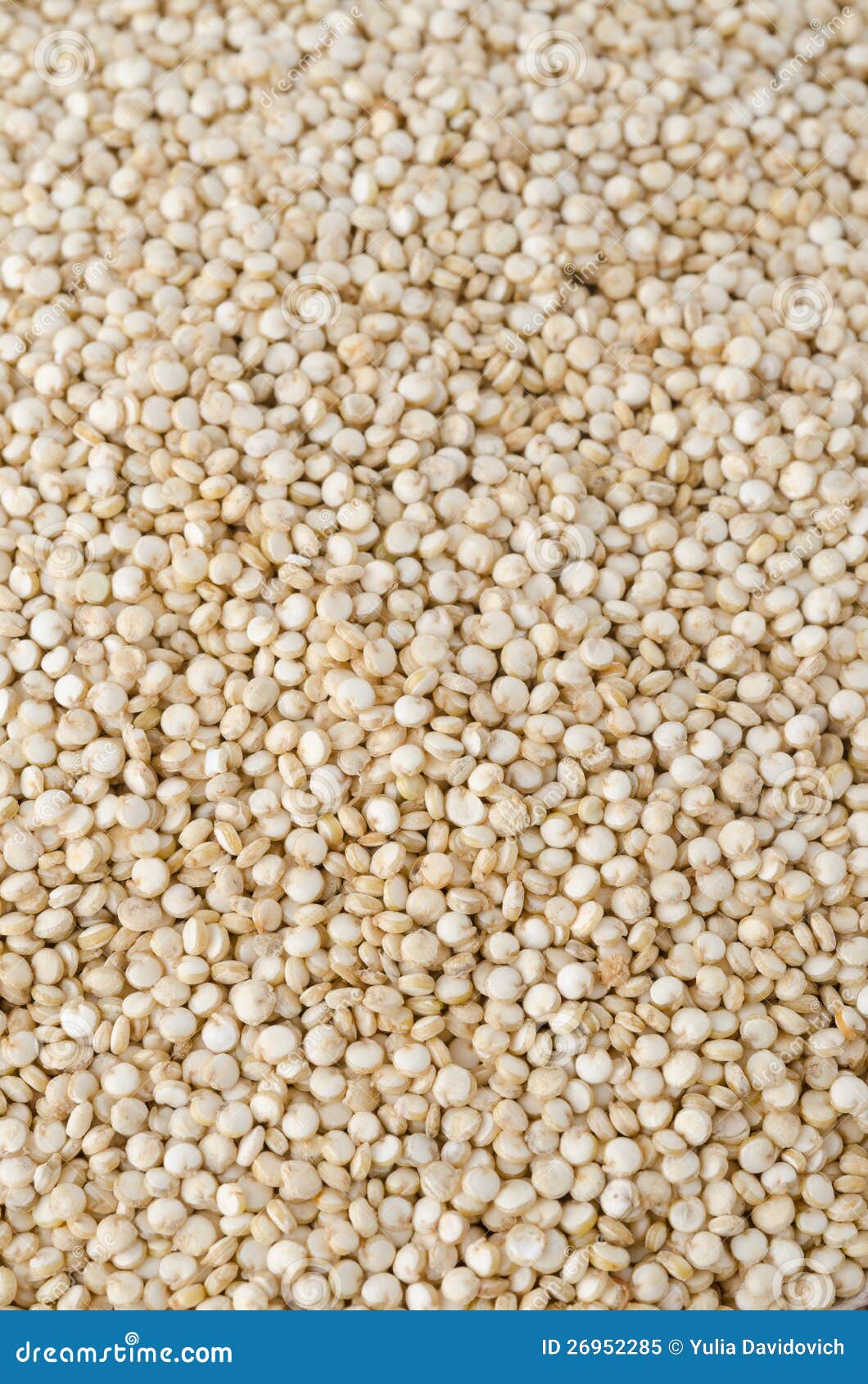 Primer de la quinoa imagen de archivo. Imagen de alimenticio - 26952285