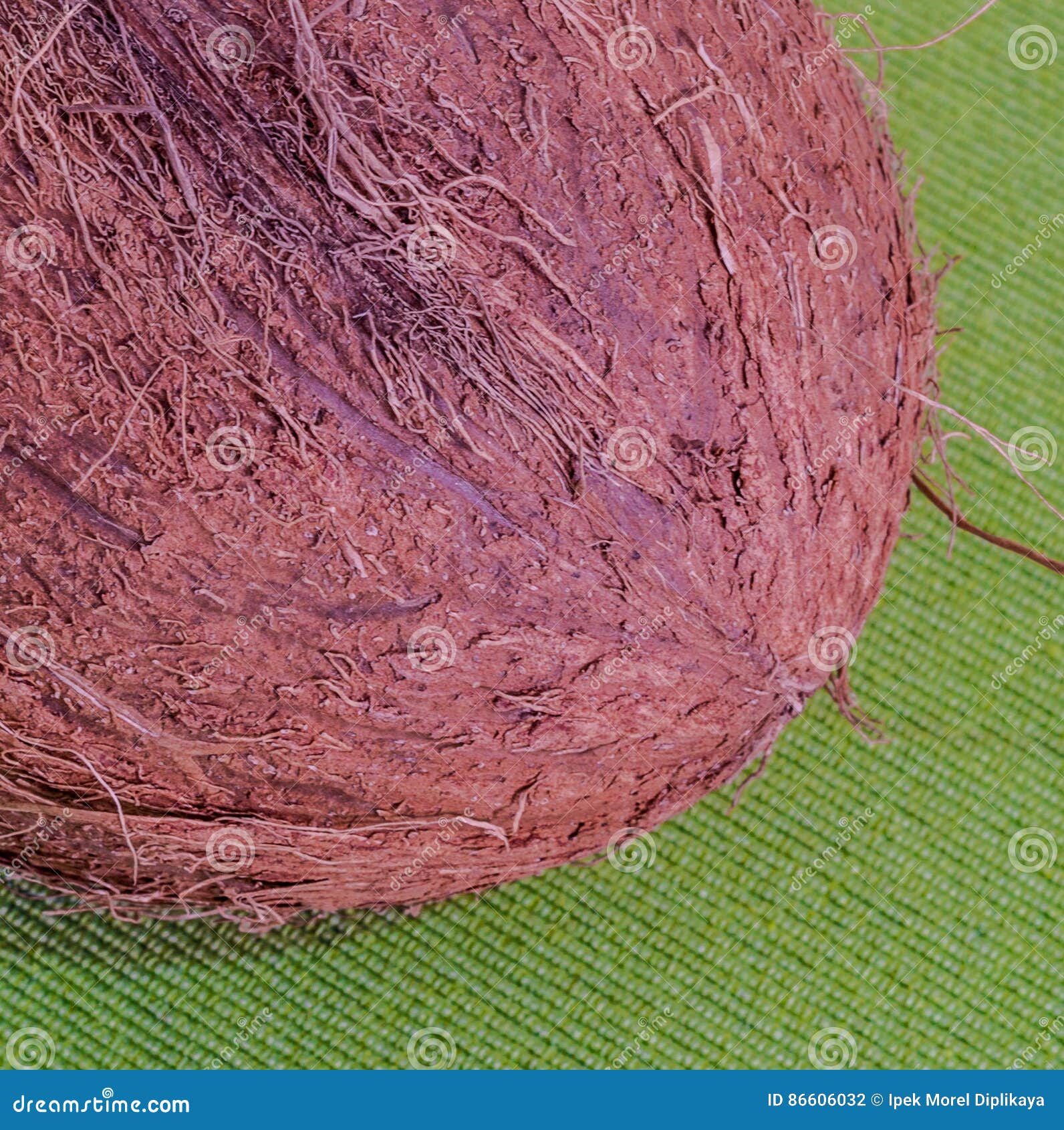 Primer De Un Coco Entero De La Fruta Tropical Foto de archivo - Imagen ...