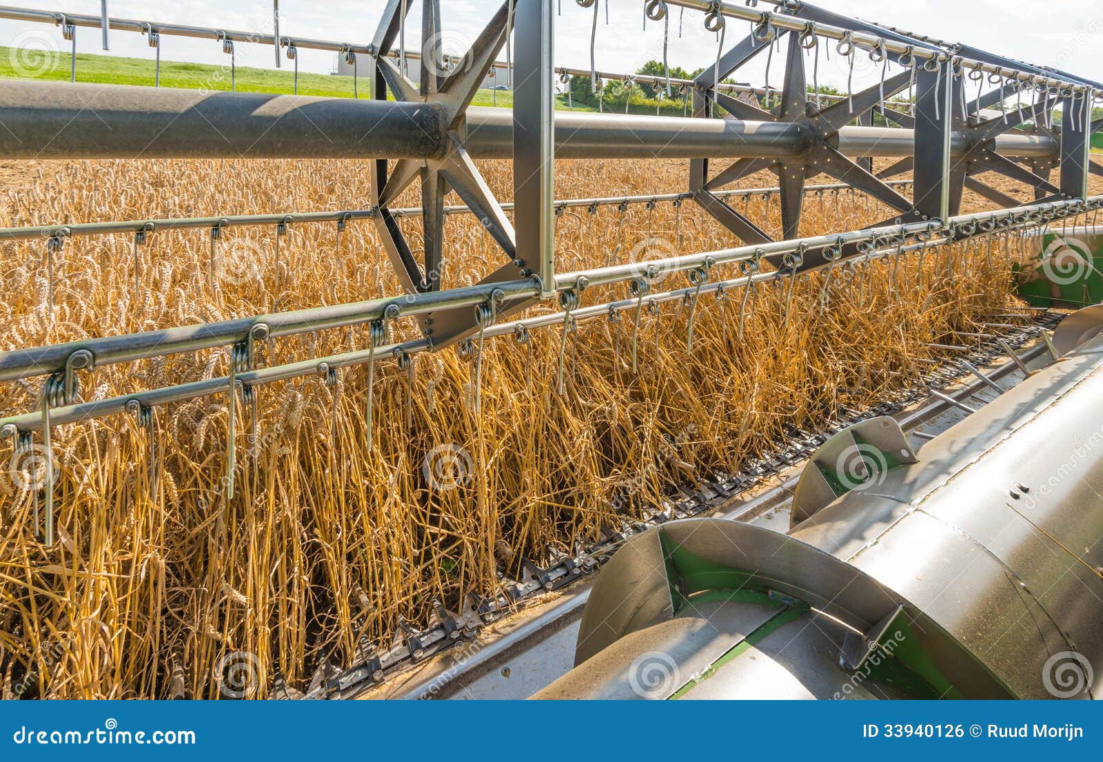 Primer De Una Máquina Segadora Foto de archivo - Imagen de grano ...
