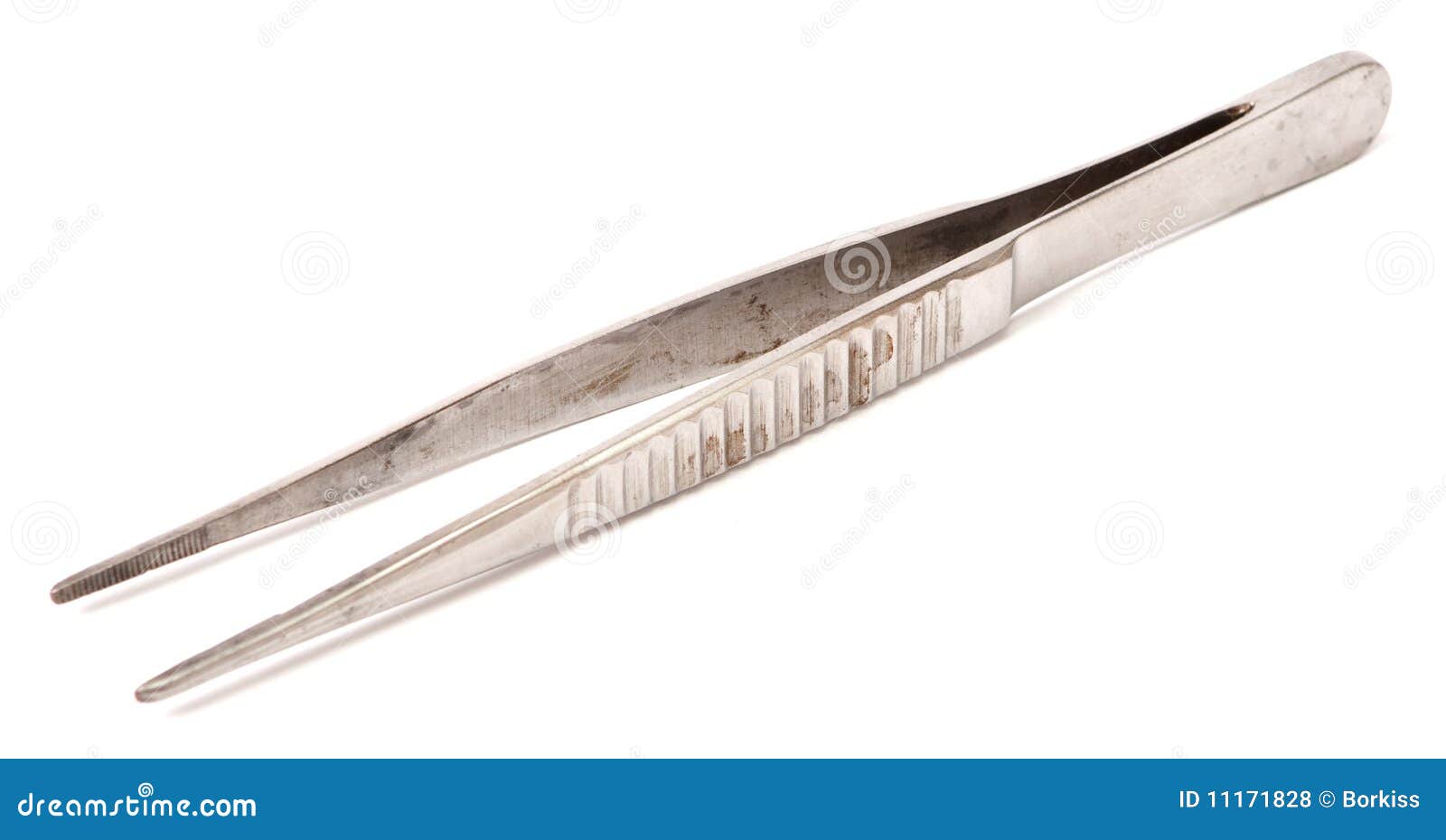 Primer del pincette foto de archivo. Imagen de instrumento - 11171828