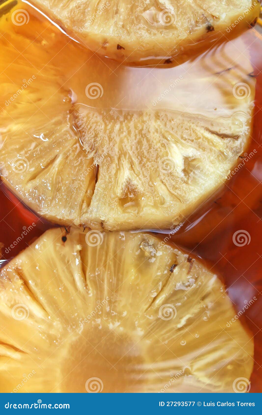 Primer Del Pinga De La Piña Imagen de archivo - Imagen de vertical ...