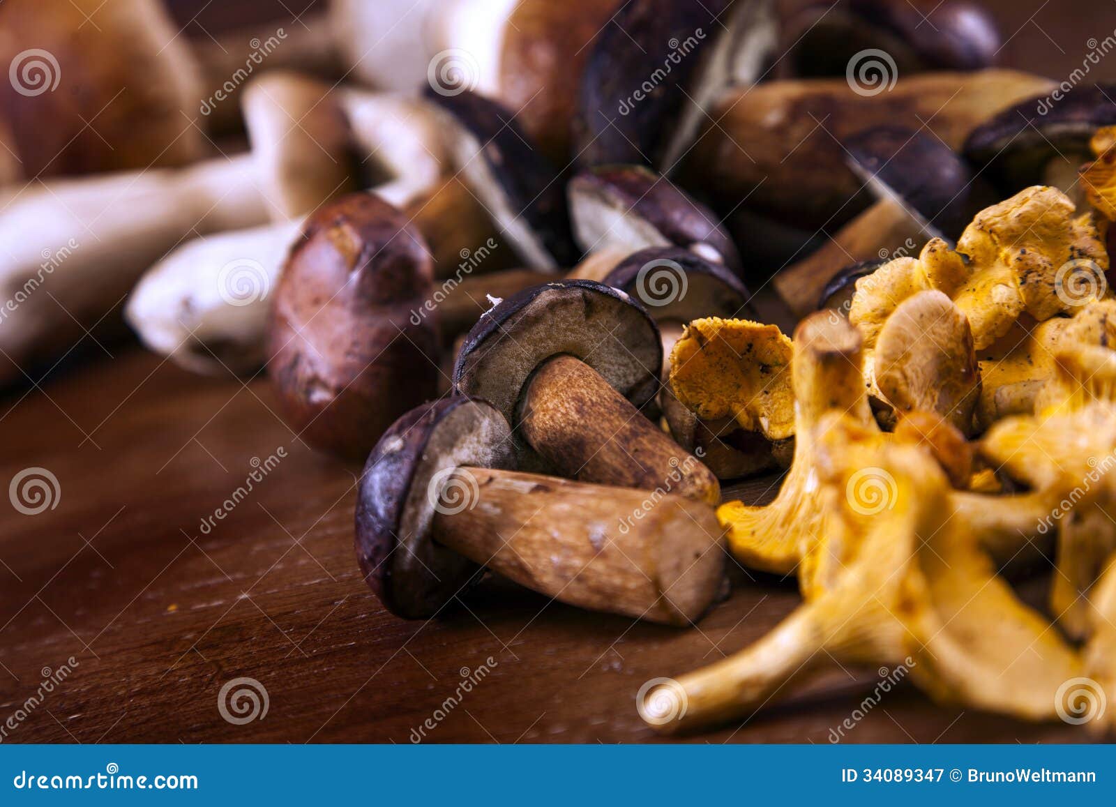 Primer fresco de las setas imagen de archivo. Imagen de primer - 34089347