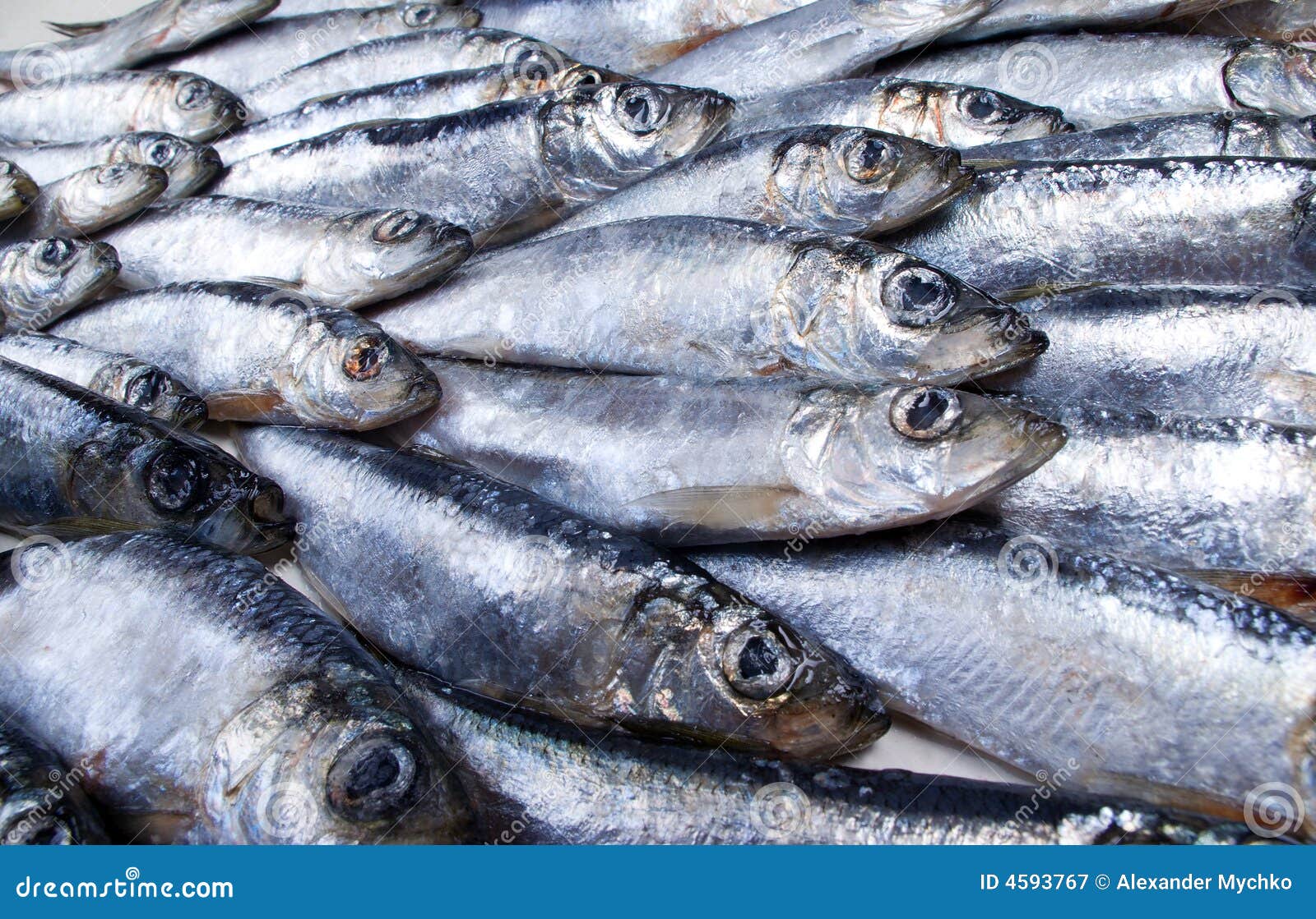 Primer Fresco De Los Arenques Imagen de archivo - Imagen de brillante ...