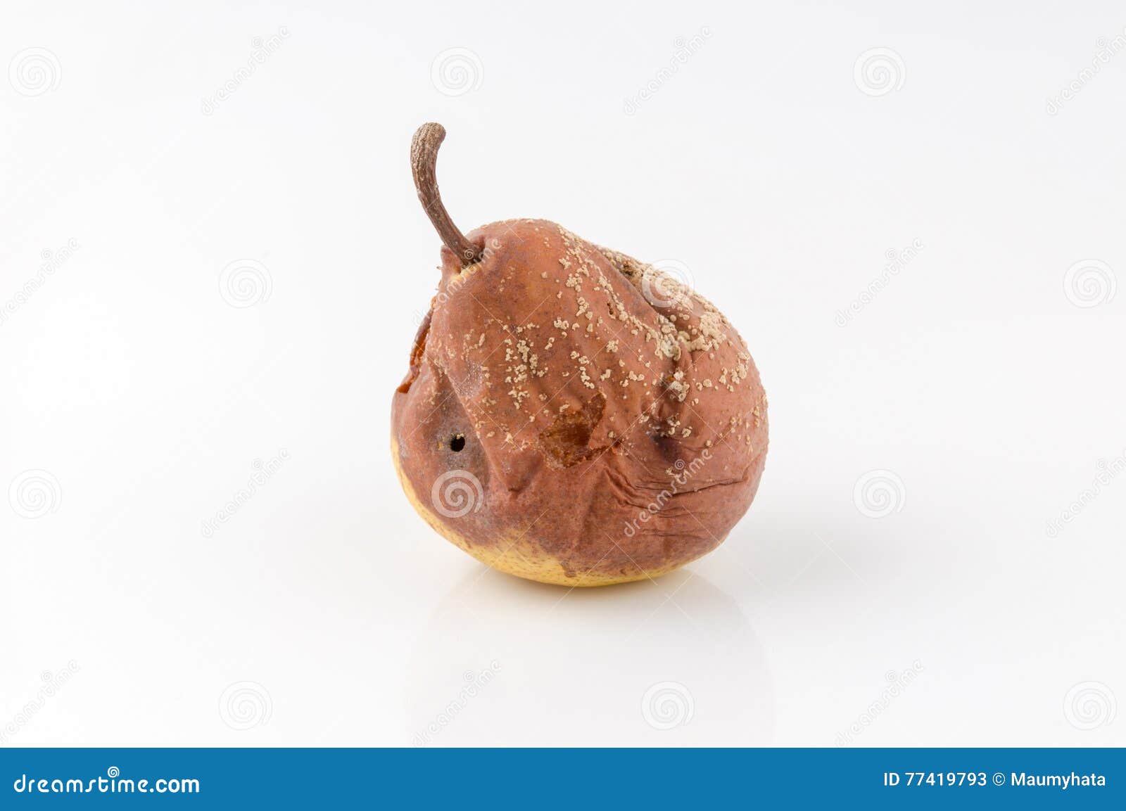 Primer Putrefacto De La Pera Imagen de archivo - Imagen de fruta ...