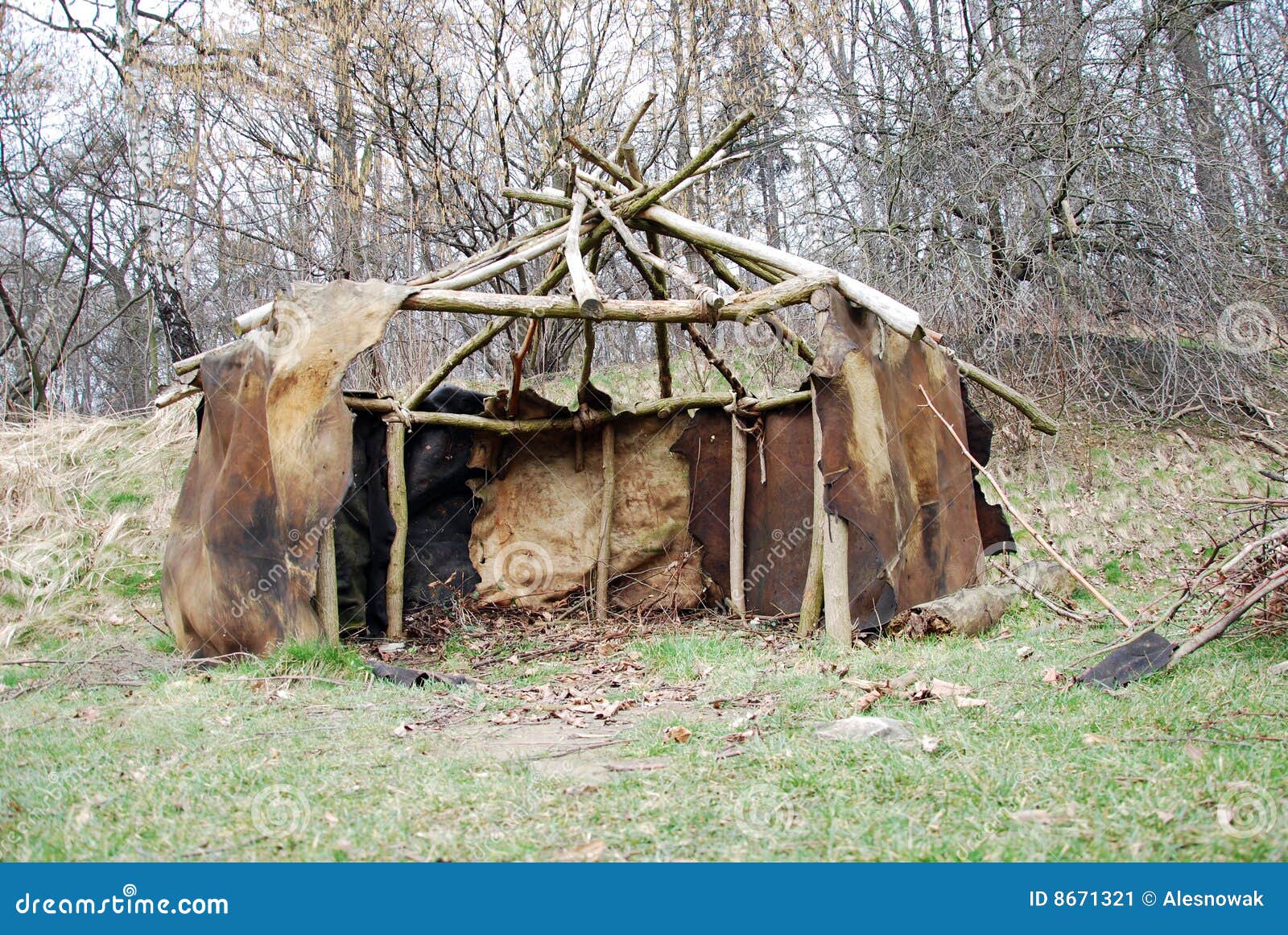 Primeval stock image. Image of fire, neolit, crib, primitive - 8671321