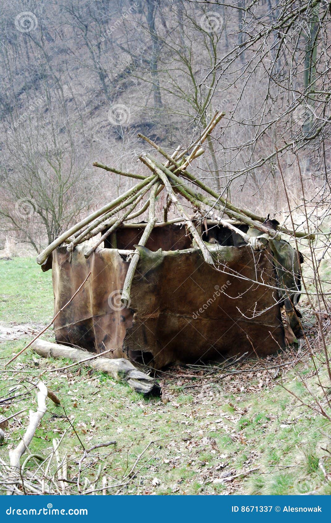 Primeval stock image. Image of stick, crib, wood, forest - 8671337