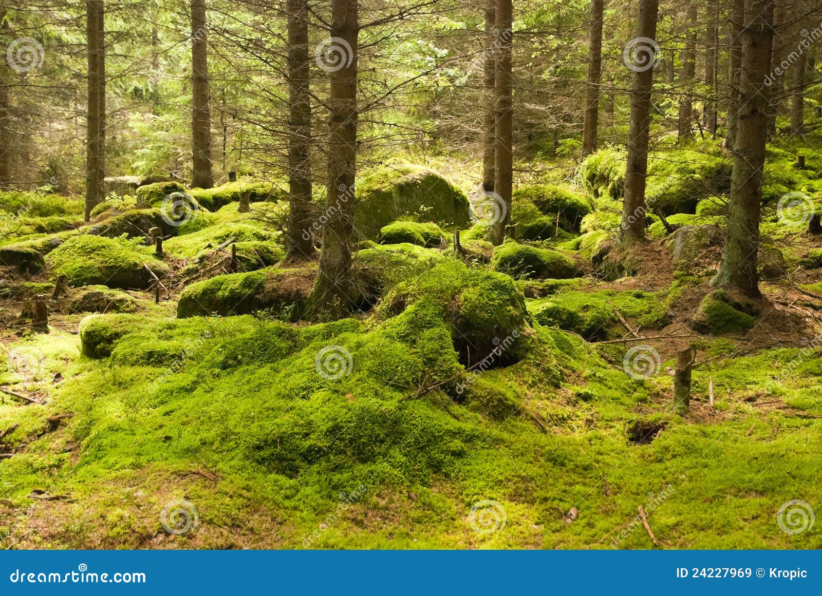 With Primeval Forest, Canyon, Fuliu, Underground Lake As The Main ...