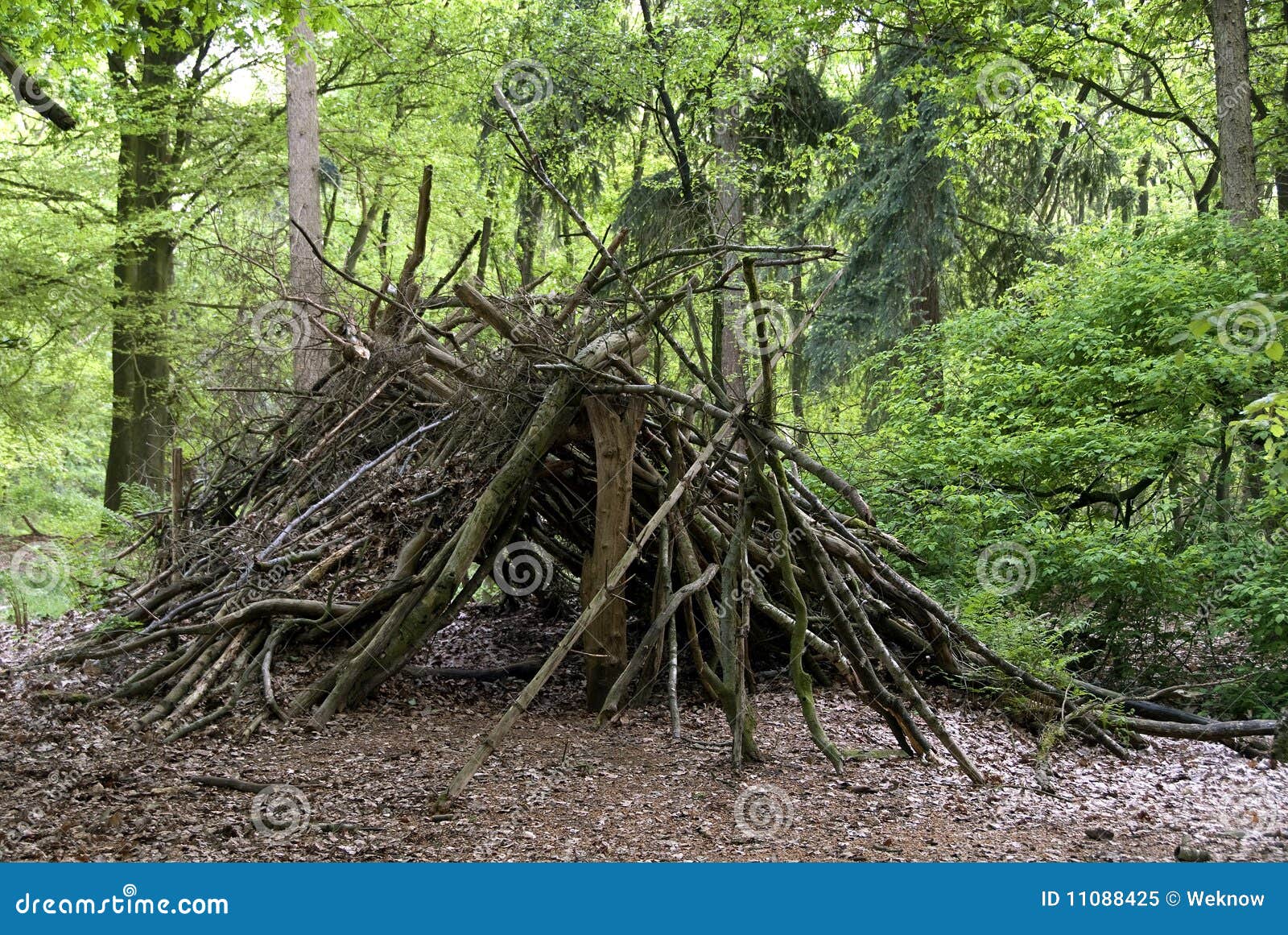 Primitief Die in Het Hout Wordt Afgeworpen Stock Afbeelding - Image of ...