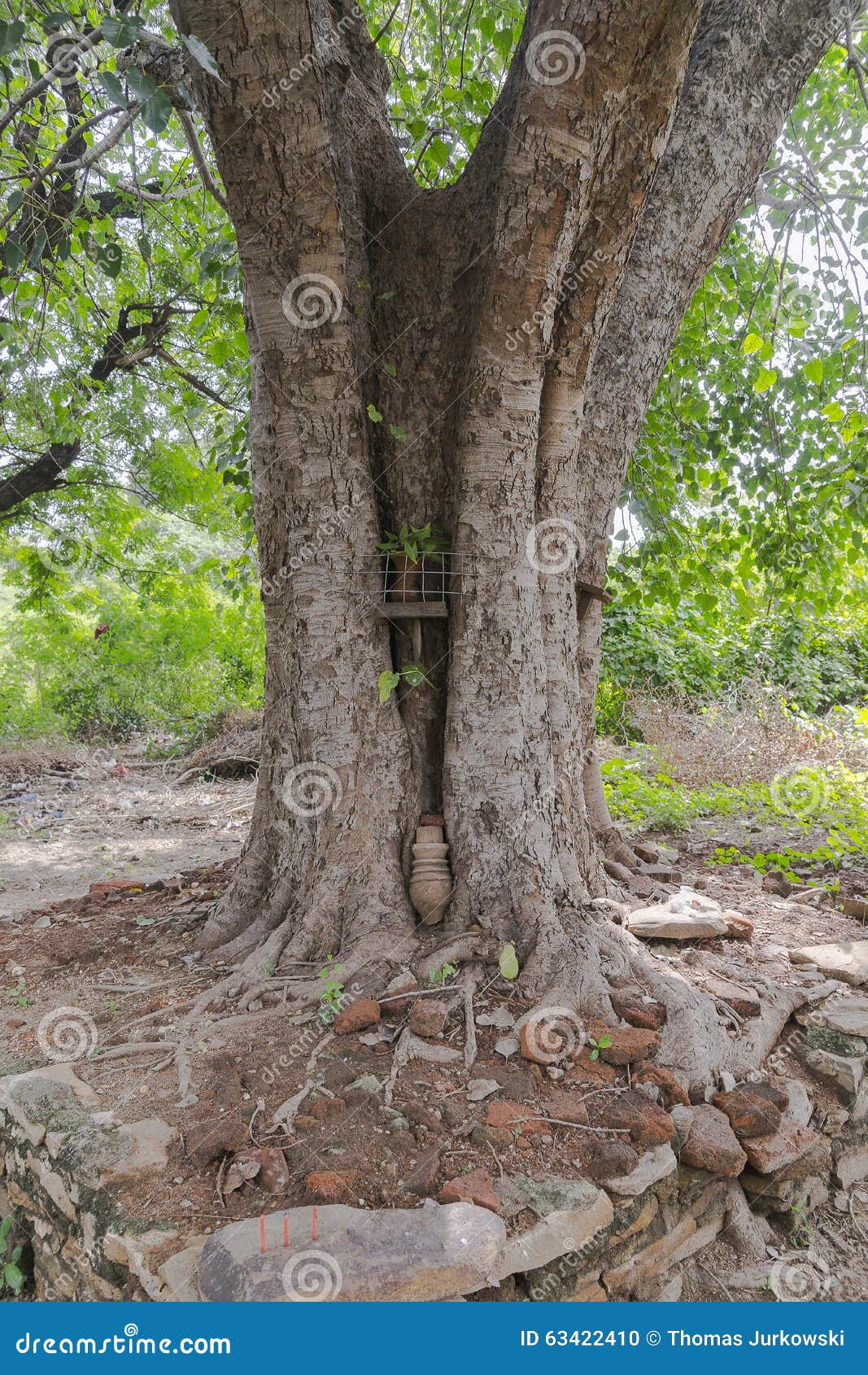 Primitive altar stock photo. Image of tree, altar, idol - 63422410