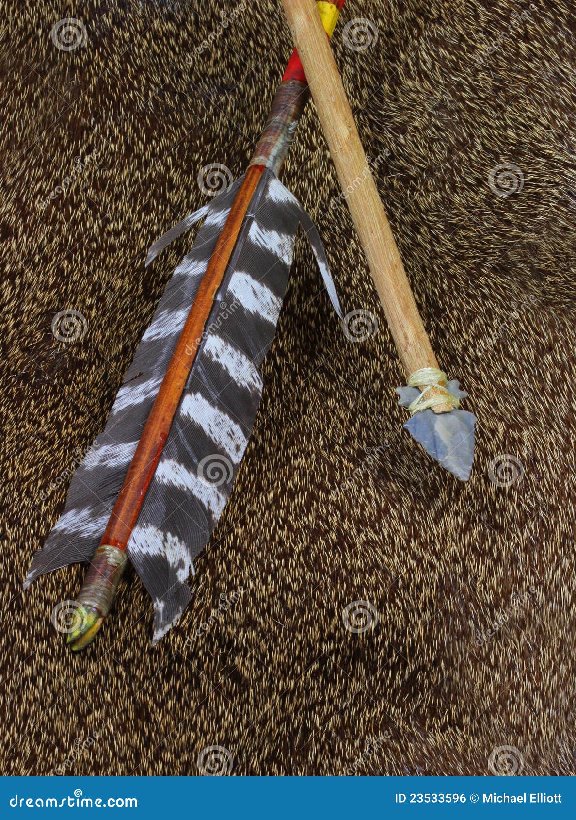 Primitive Arrows stock photo. Image of arrow, head, knock - 23533596