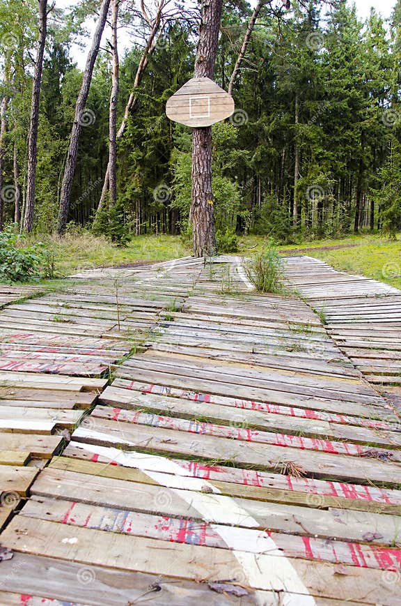 Primitive Basketball Field Forest Stock Image - Image of basketball ...