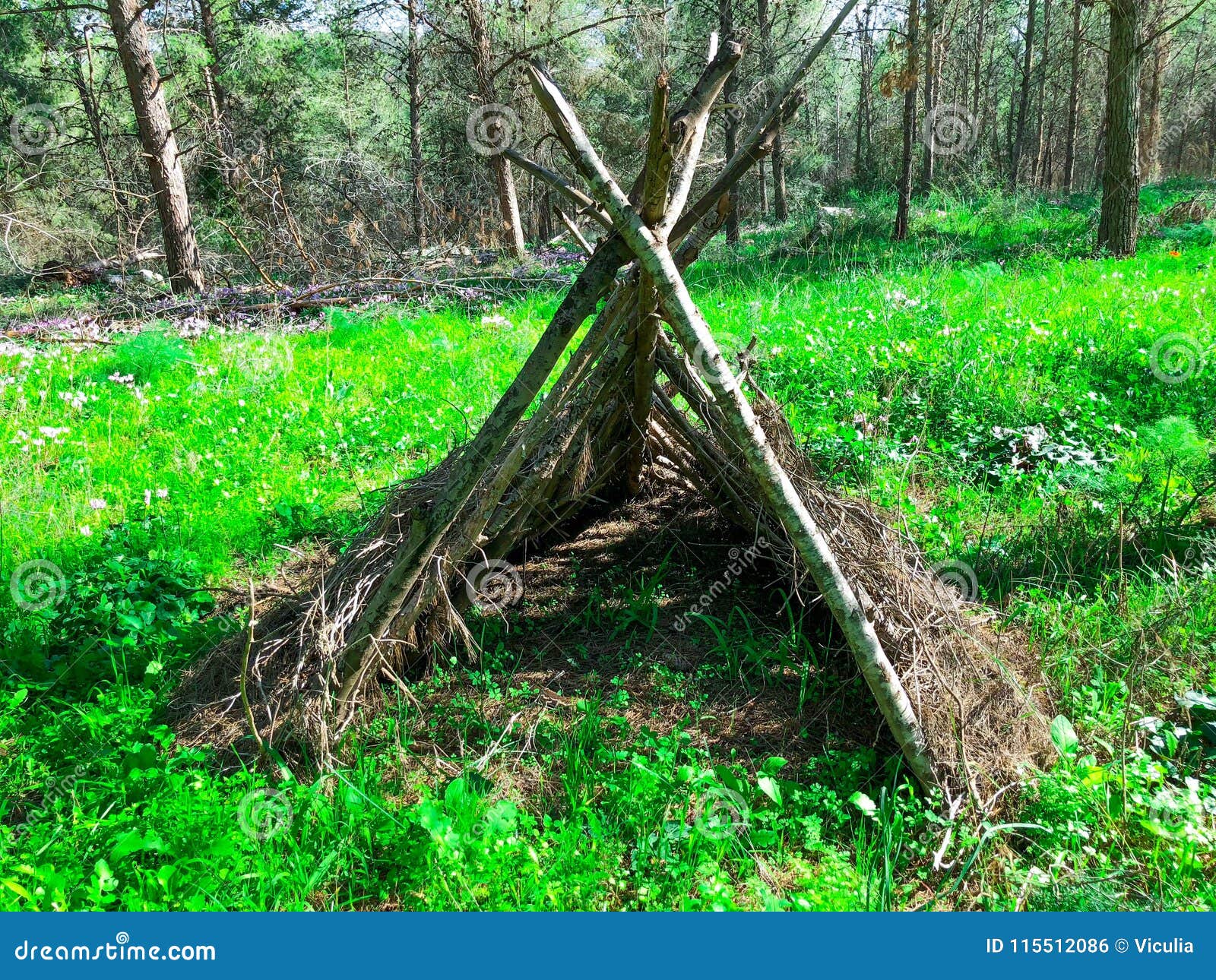 Primitive Branch Hut in the Woods of the Forest Stock Photo - Image of ...