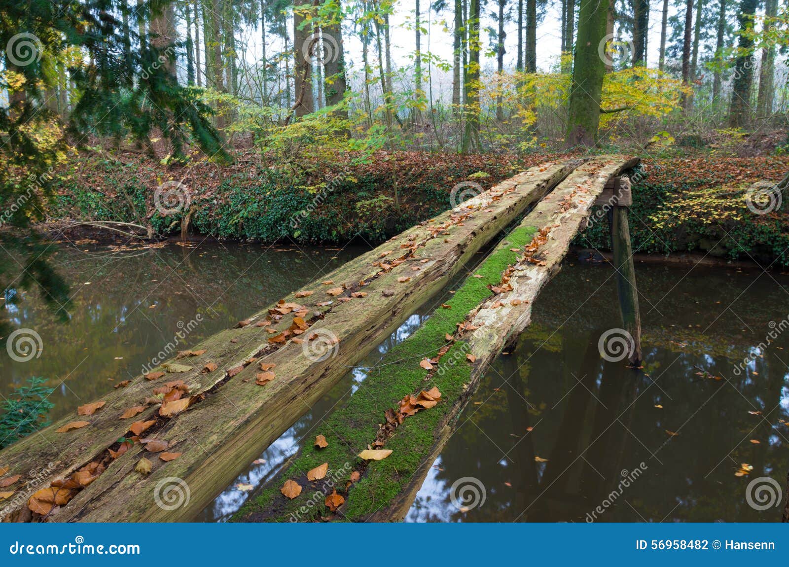 Primitive bridge stock photo. Image of river, bridge - 56958482