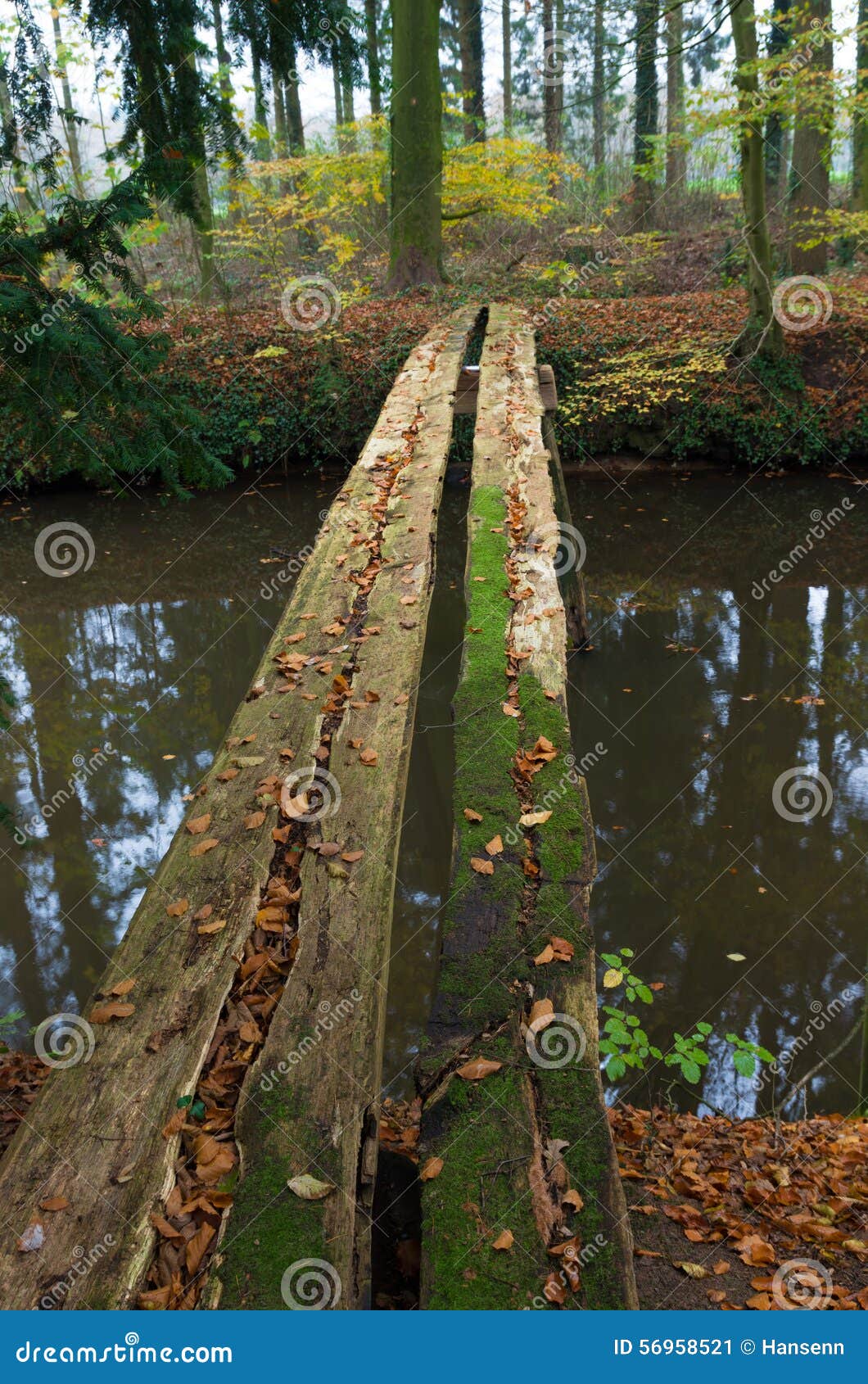 Primitive bridge stock image. Image of scene, bridge - 56958521
