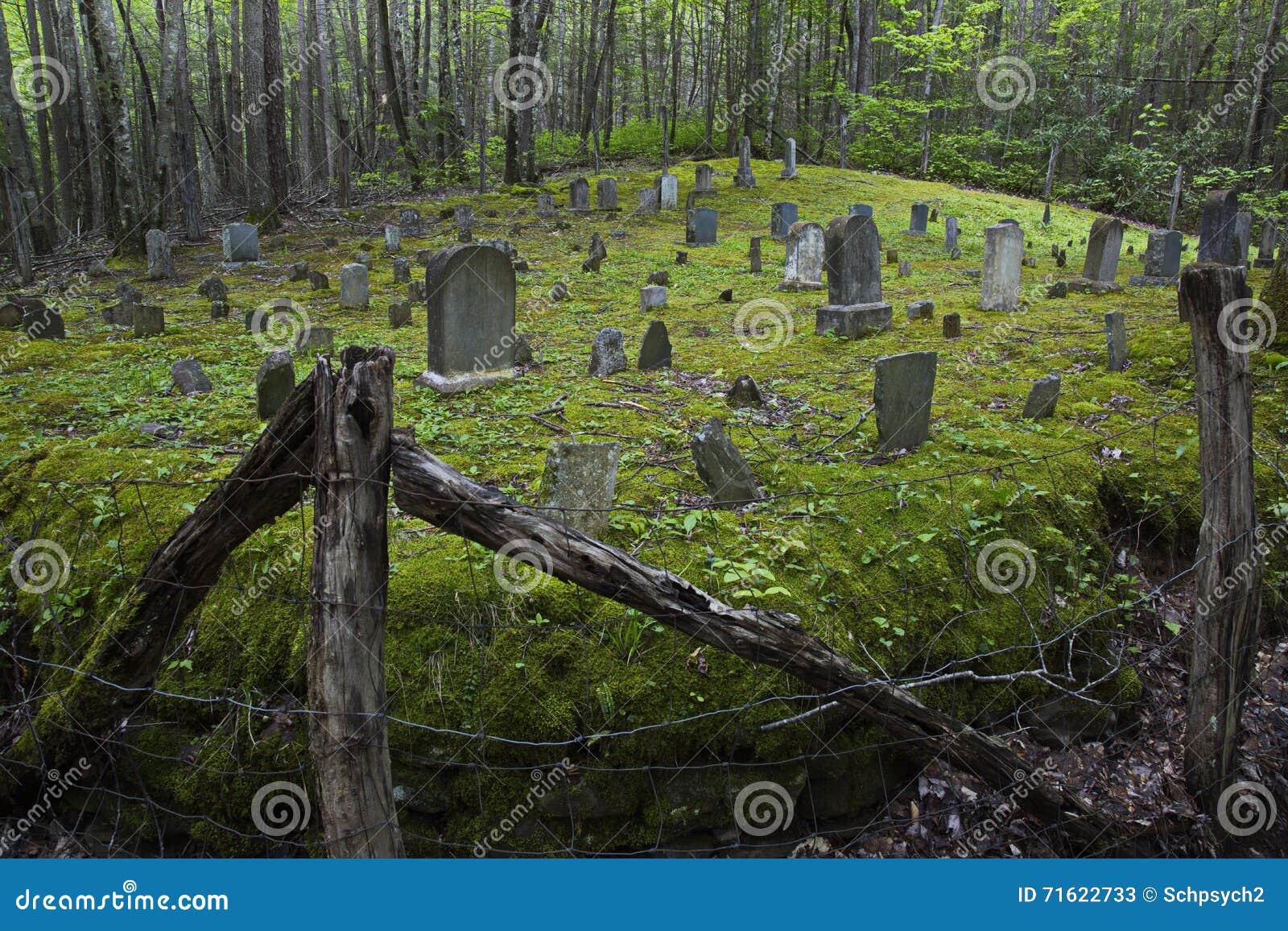 Primitive Cemetery in the Smoky Mountains Stock Image - Image of ...