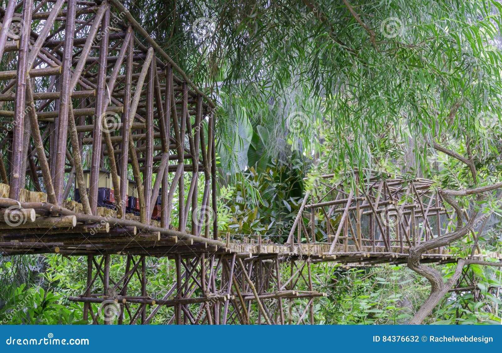 Primitive Elevated Log Train Tracks Winding through Lush Tripical ...