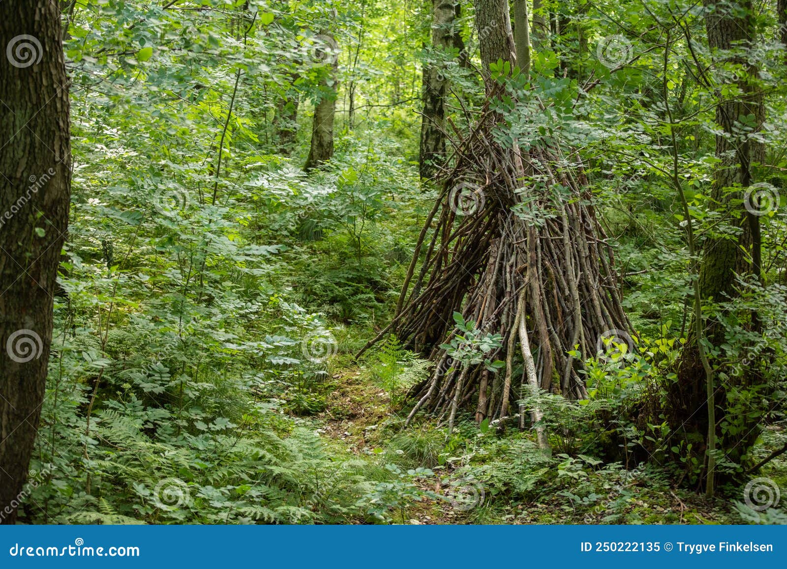 A Primitive Hut Made of Sticks in the Forest.. Stock Image - Image of ...