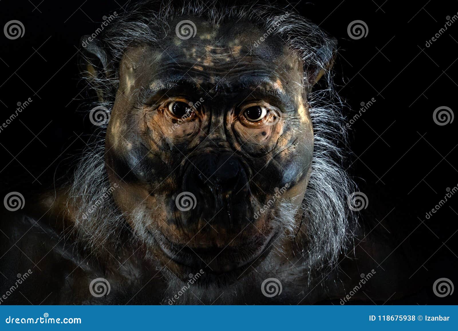 Primitive Man Ape Isolated on Black Stock Photo - Image of person ...