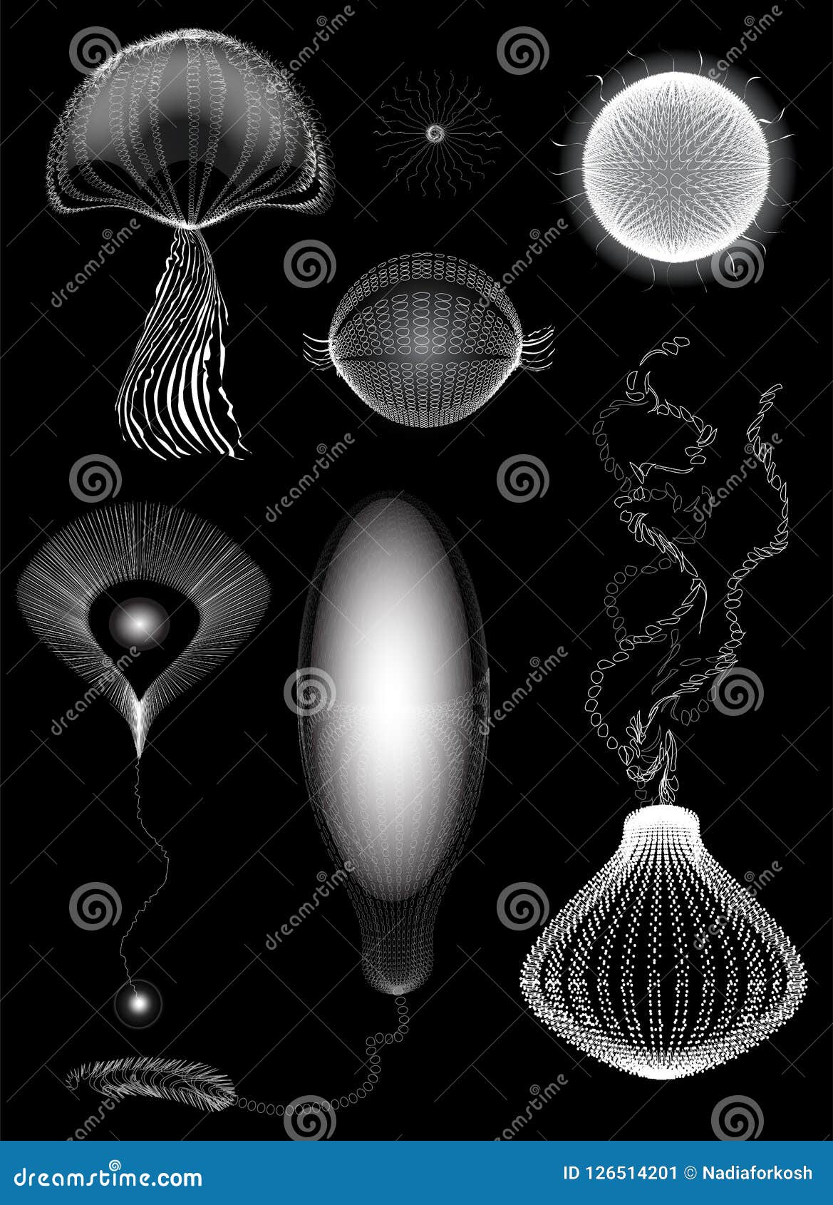 Primitive Organisms Set, Jelly, Unicellular Stock Vector - Illustration ...