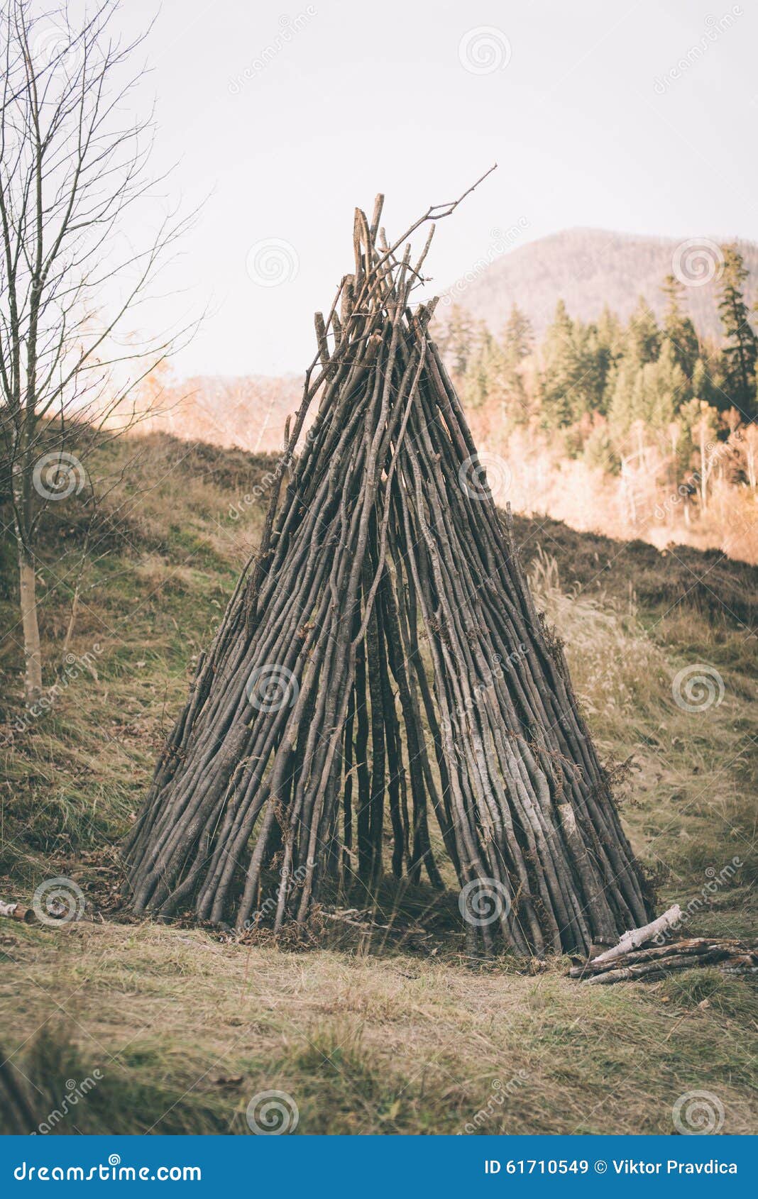 Primitive Shelter Made from Wood Stock Image - Image of branches ...