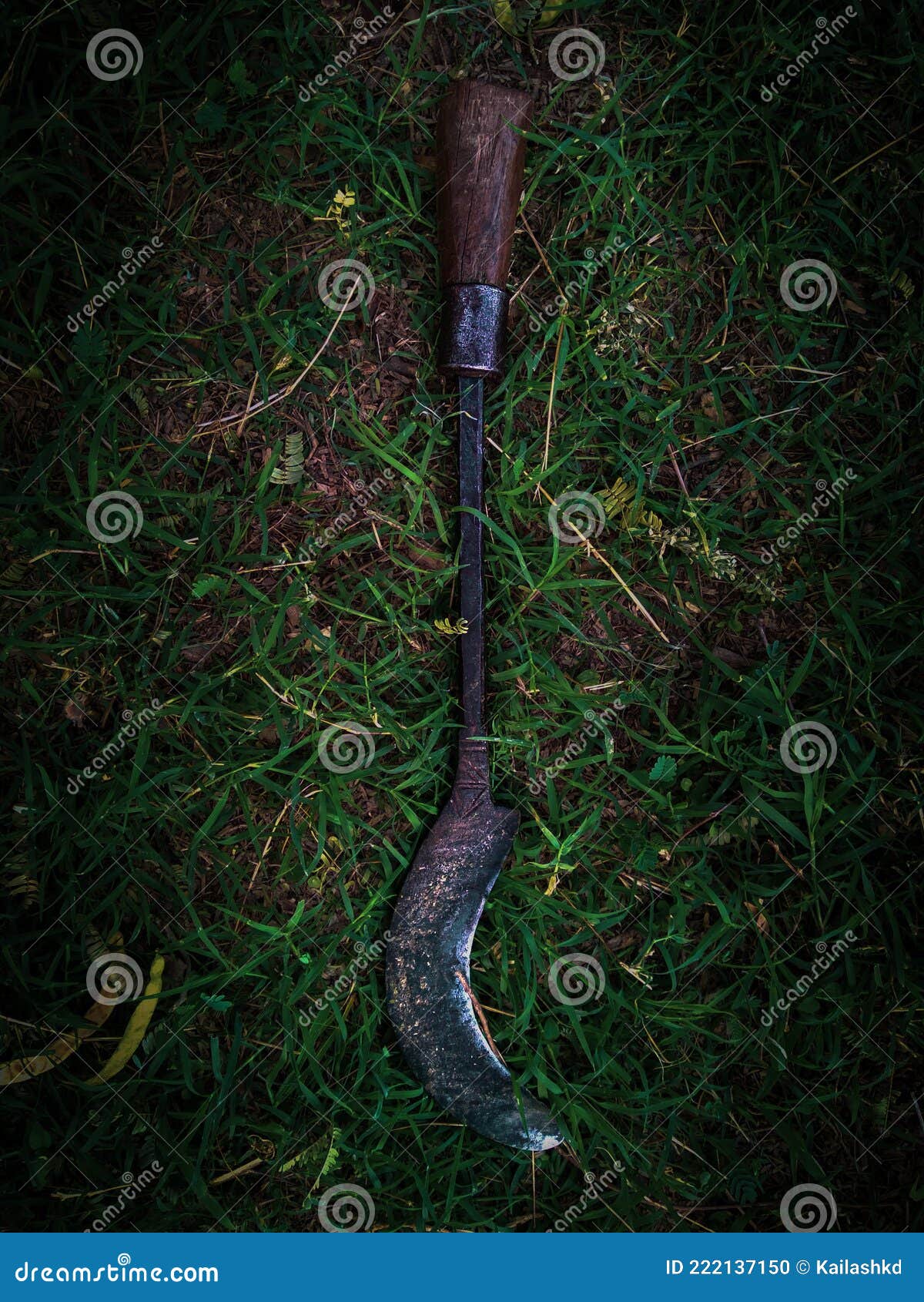 Primitive Sickle Tool for Cutting Trees in Rajasthan Stock Photo ...