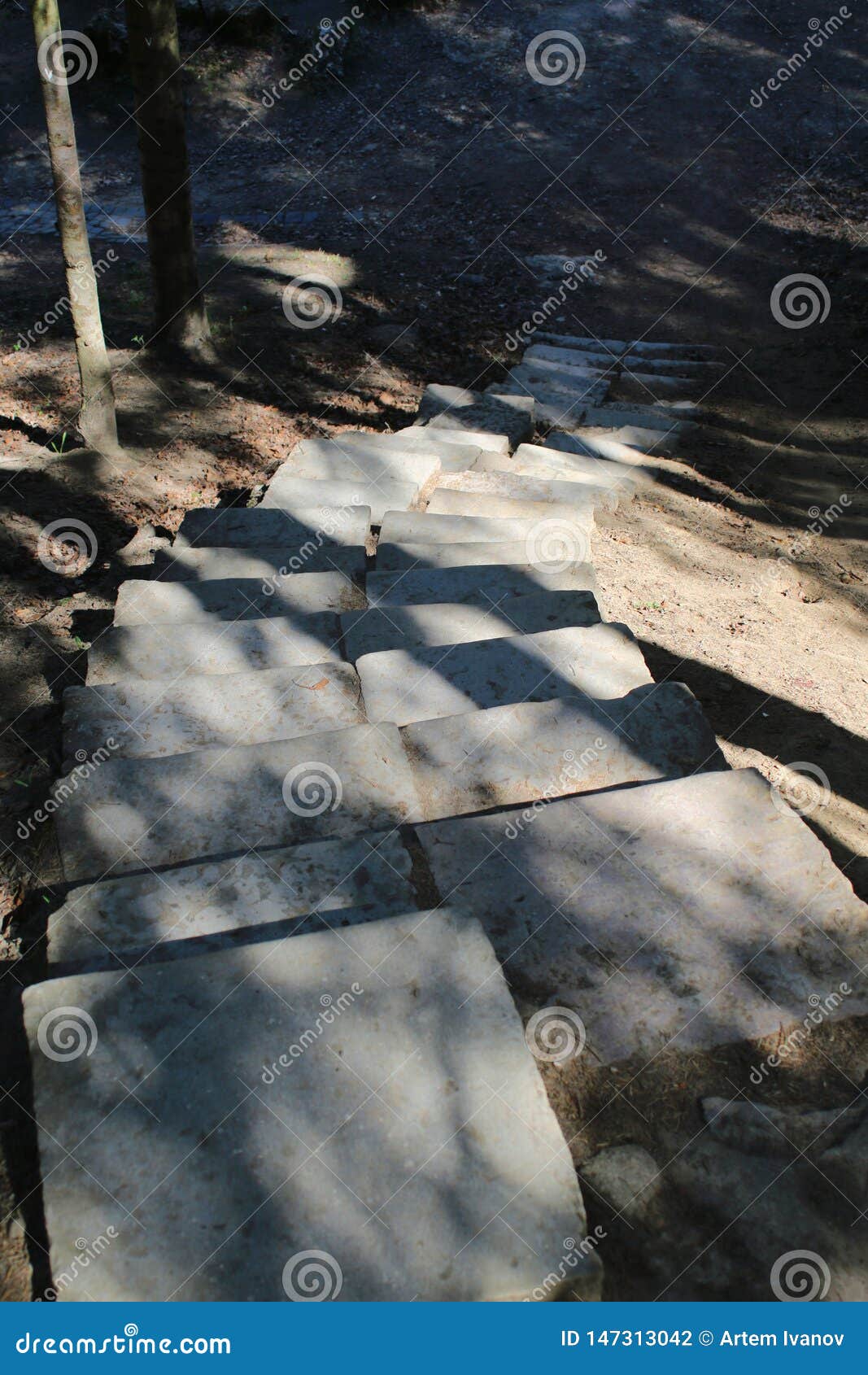 A Primitive Stone Stairs in the Forest Stock Photo - Image of oblique ...