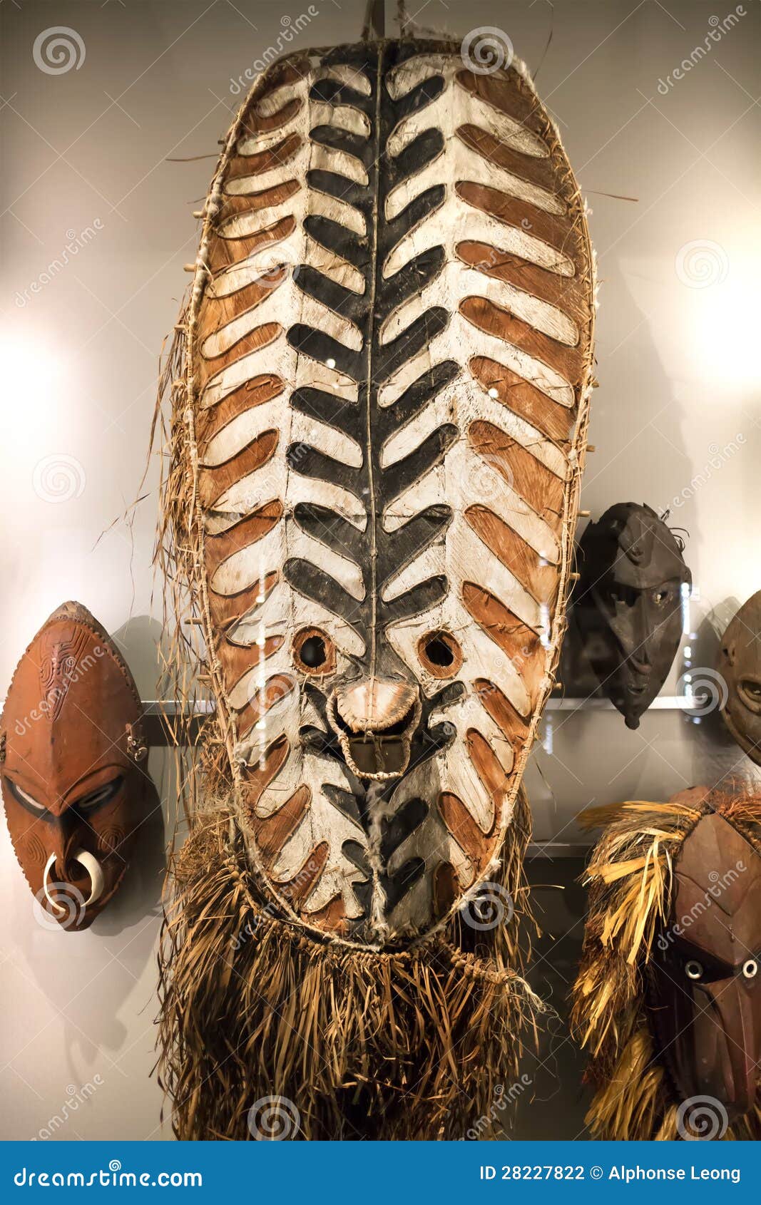 Primitive Tribal Shield and Masks at Museum of Anthropology Editorial ...