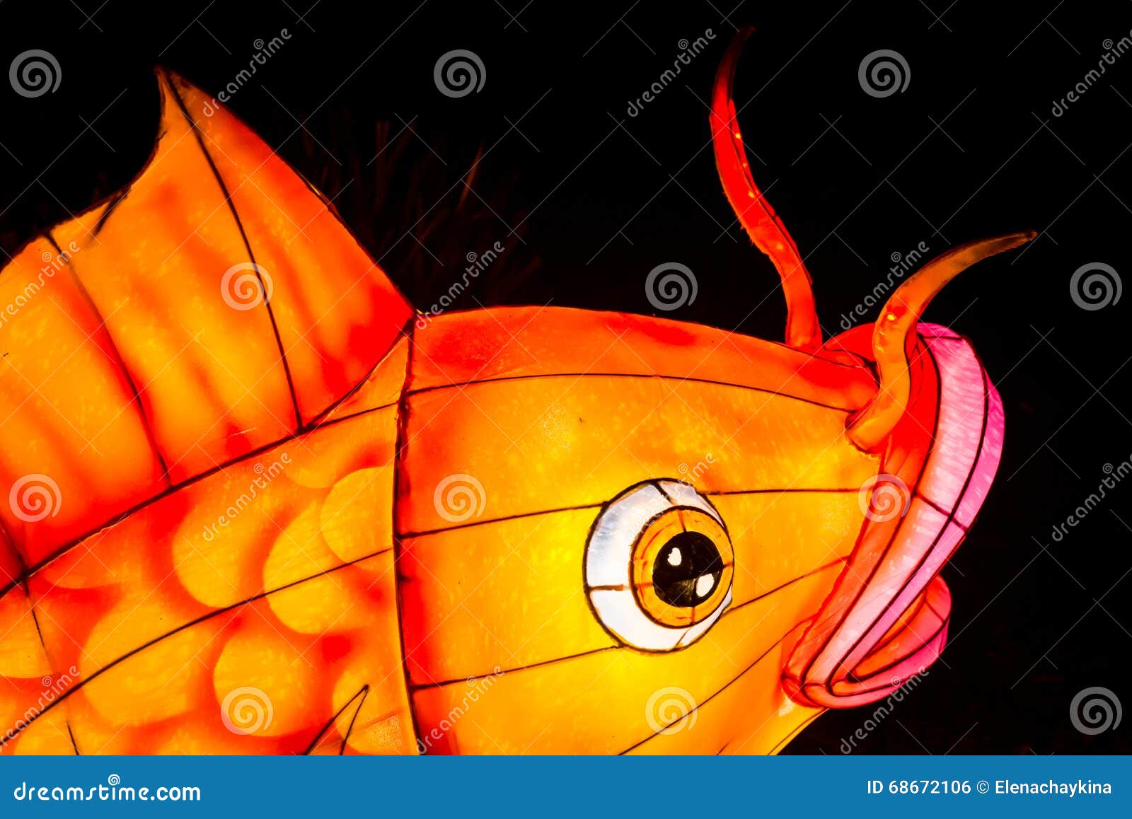 Primo Piano Della Lanterna Timida Del Pesce Fotografia Editoriale ...