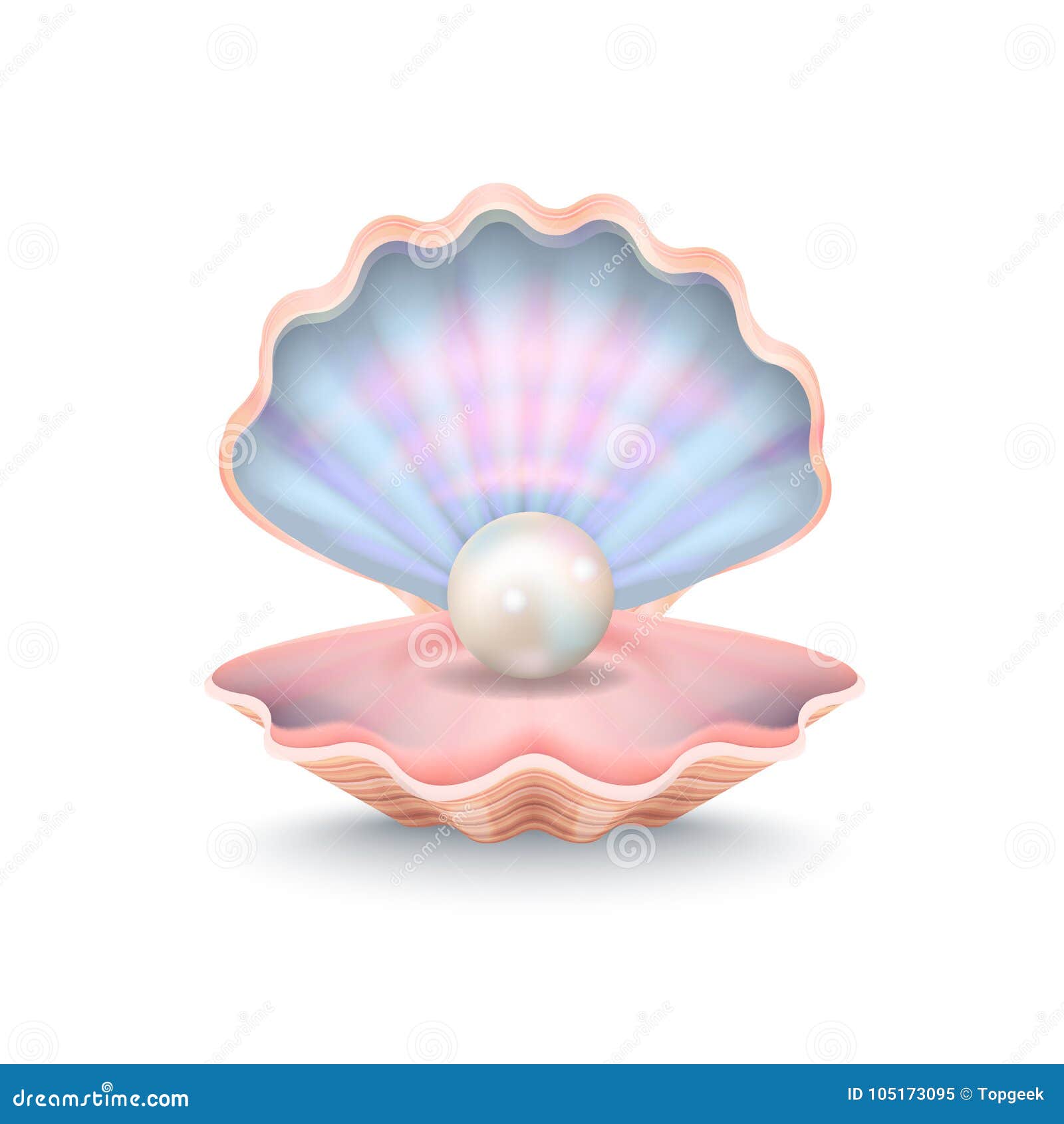 Primo Piano Della Perla E Di Shell Vector Illustration Illustrazione ...