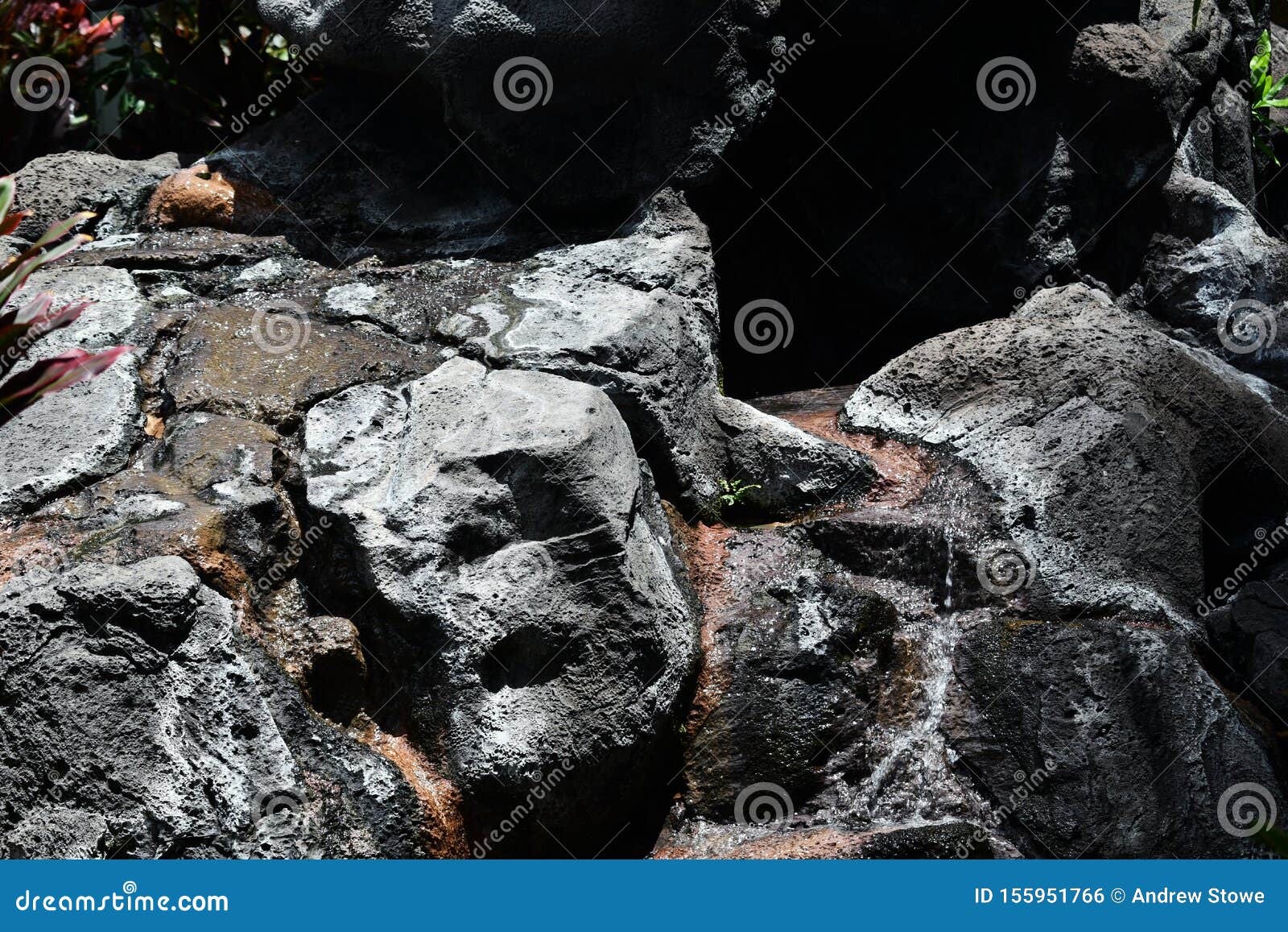 Primordial Soup. Slippery Green Algae Covered Waterfall Stock Photo ...