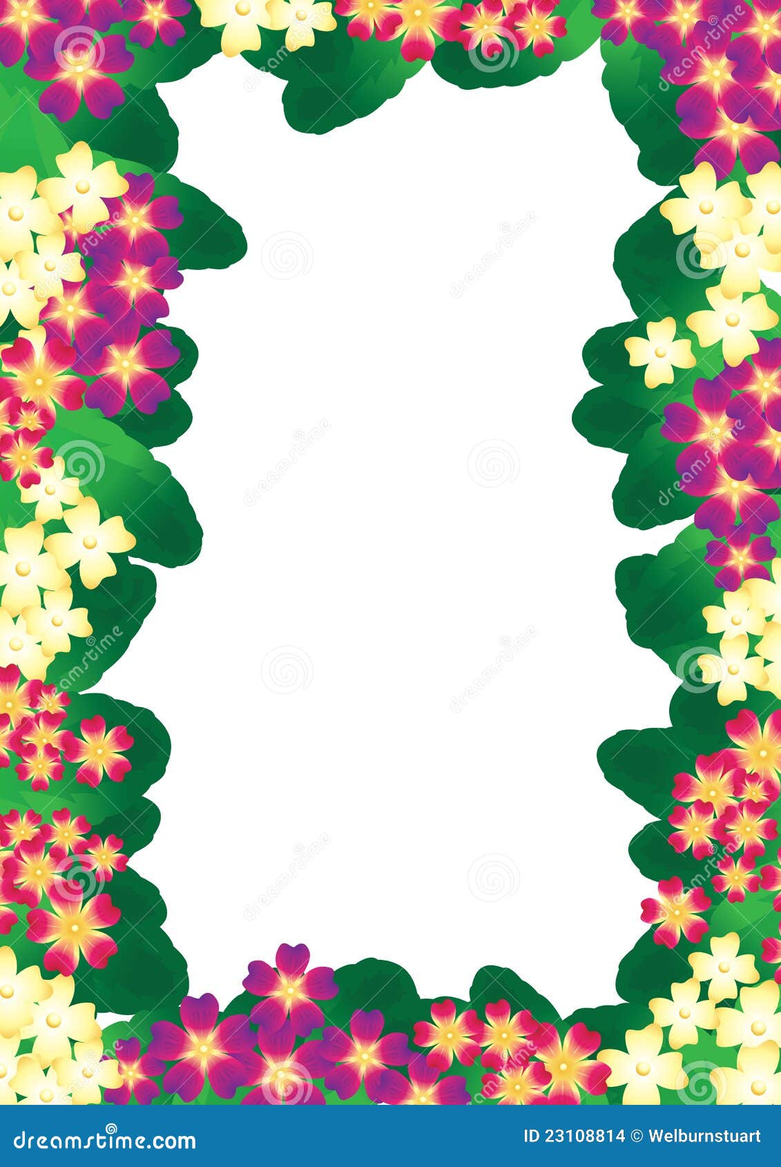 Primrose border stock vector. Illustration of primula - 23108814