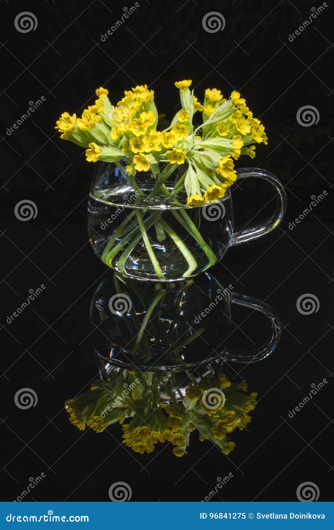 Primrose in glass cup stock image. Image of bouquet, reflection - 96841275