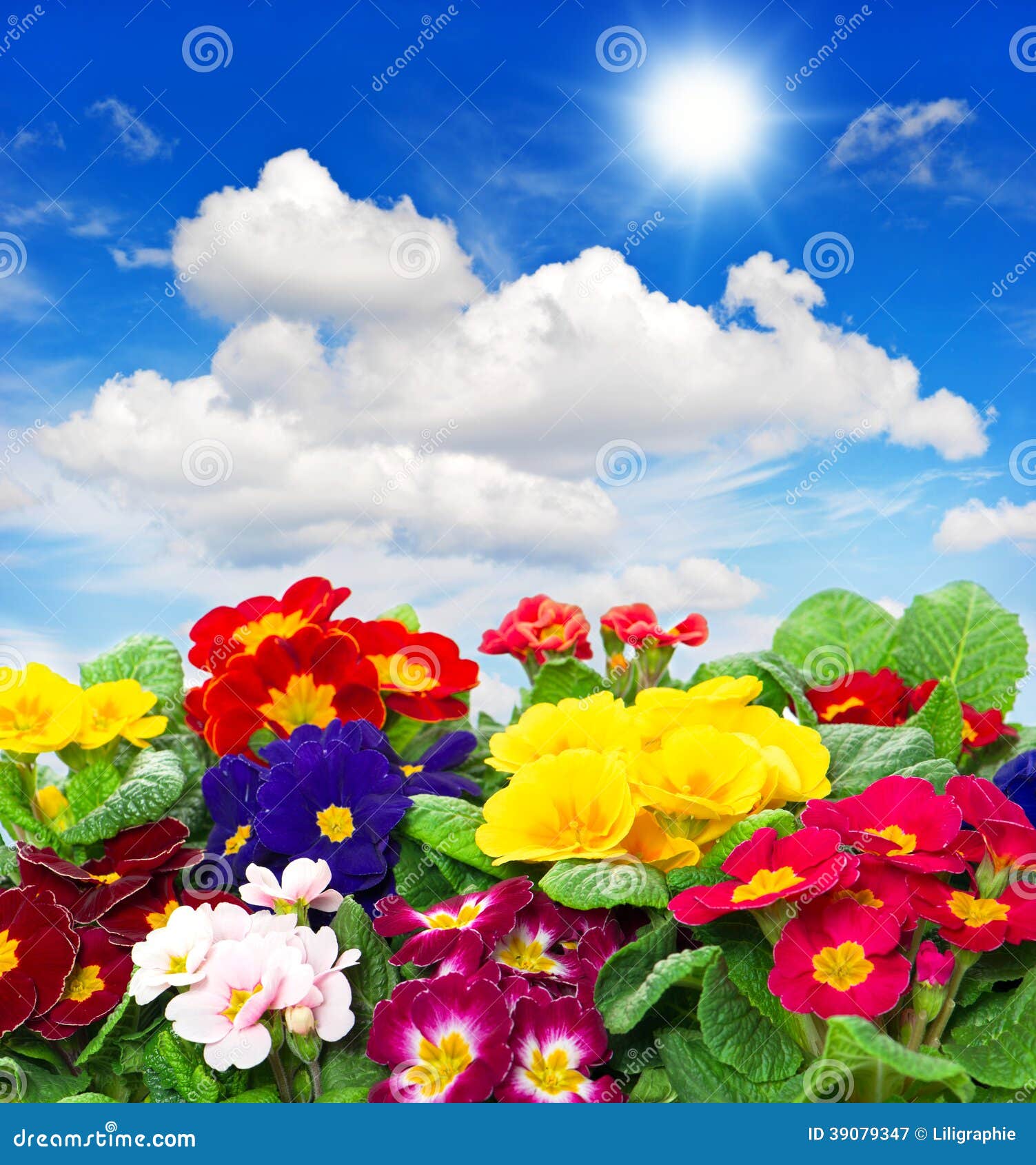 21 Images Assorted Flower Bouquet