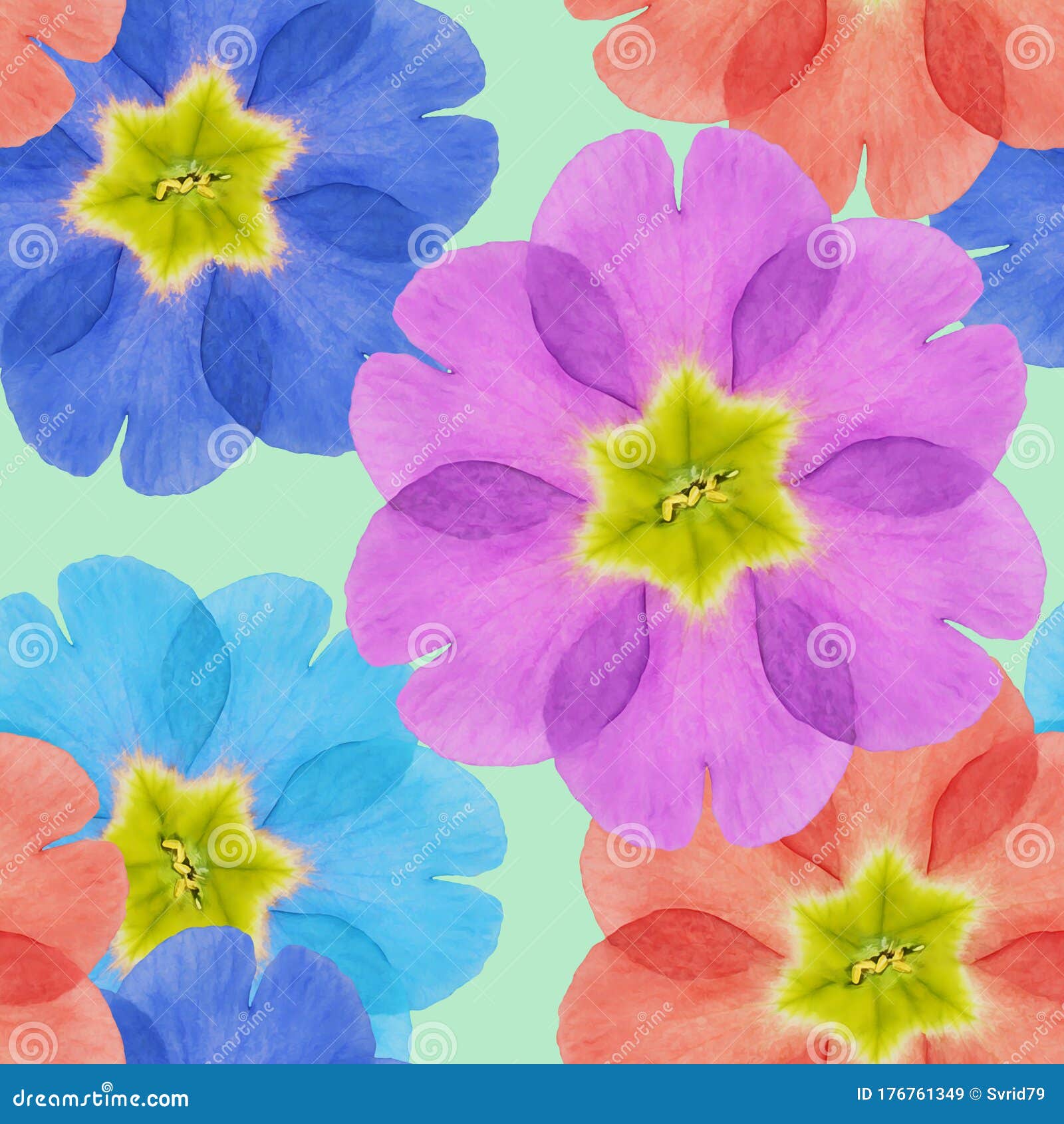 Primula, Primrose. Illustration, Texture of Flowers. Seamless Pattern ...