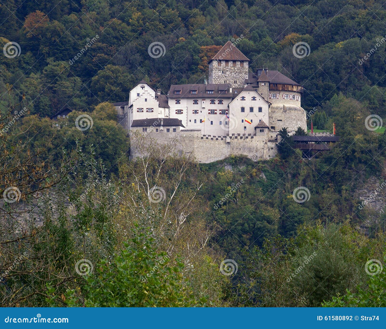 Prince Castle in Vaduz stock photo. Image of alps, vision - 61580892