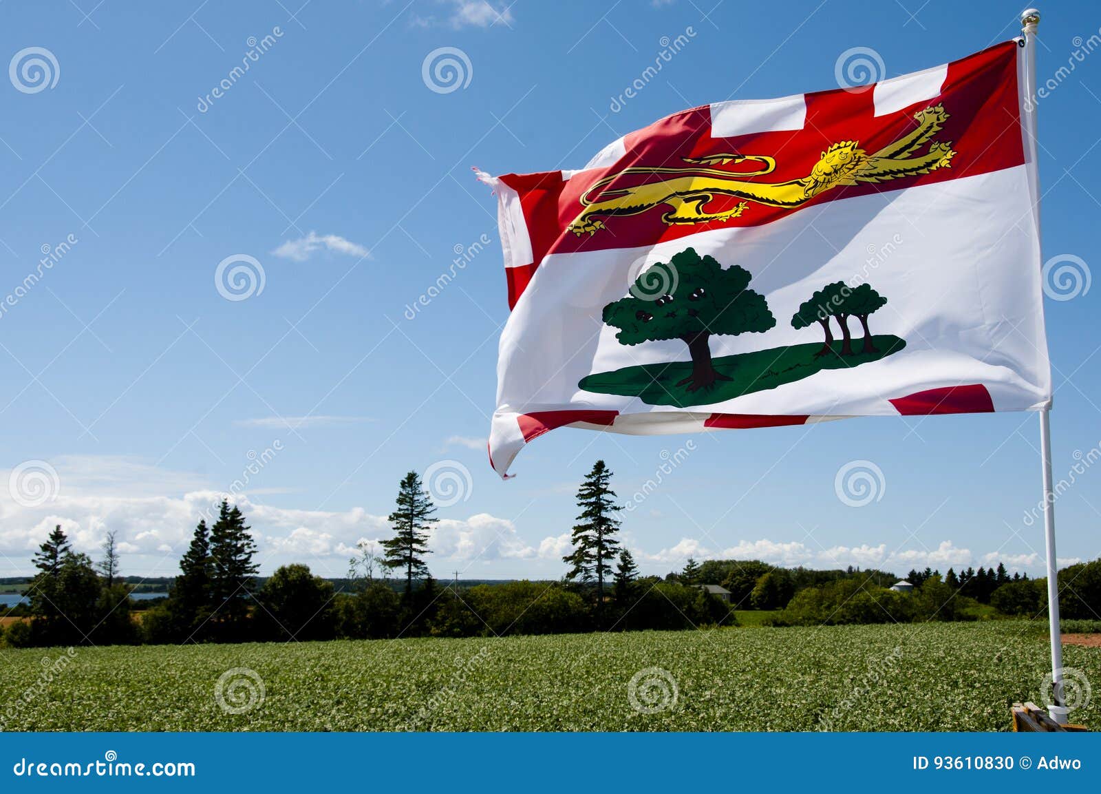 Prince Edward Island Flag - Canada Stock Photo - Image of flag ...