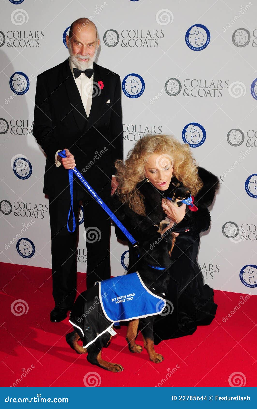 Prince, Princesse Michael De Kent Image stock éditorial - Image du ...