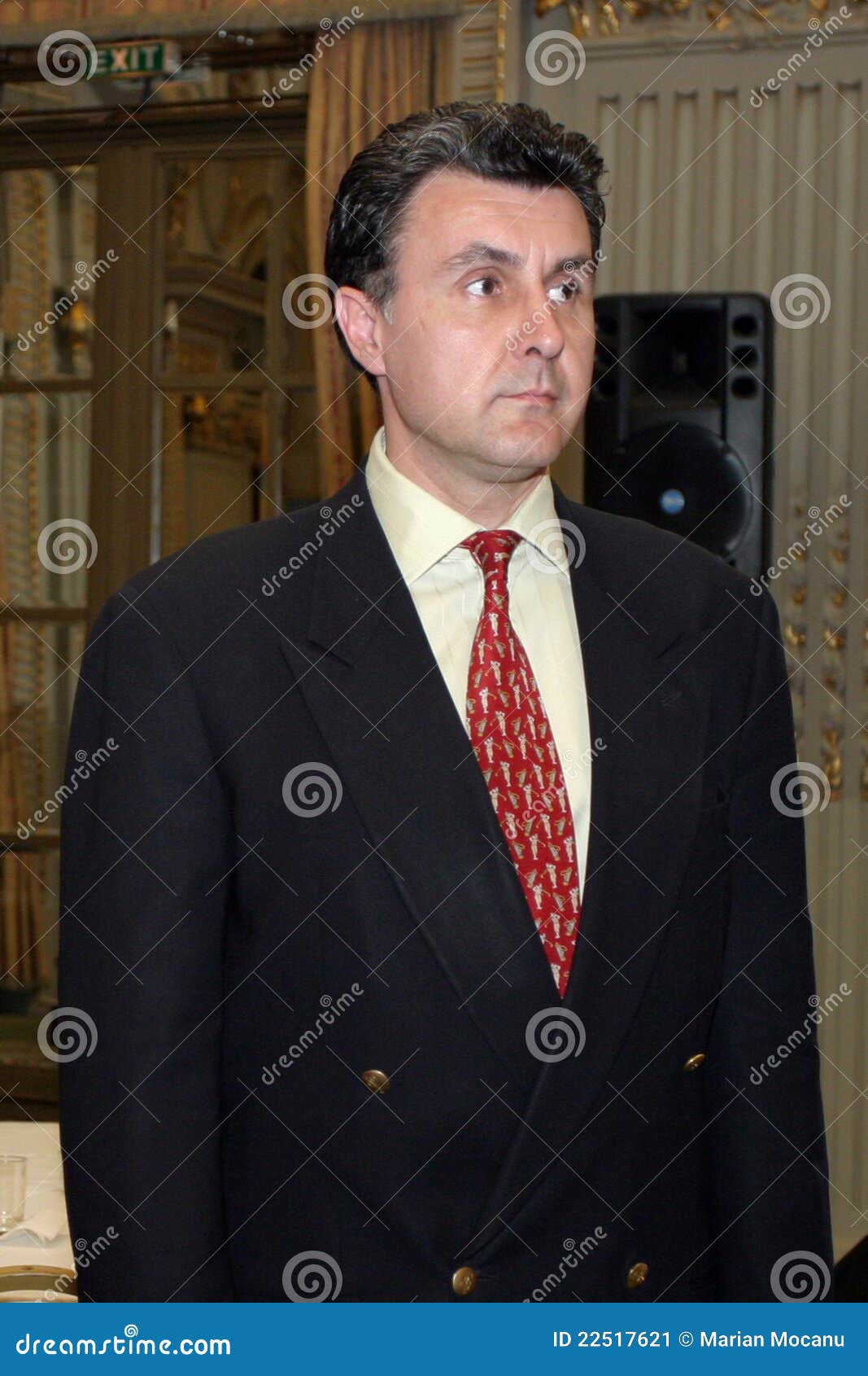 Prince Radu photo éditorial. Image du tony, britannique - 22517621