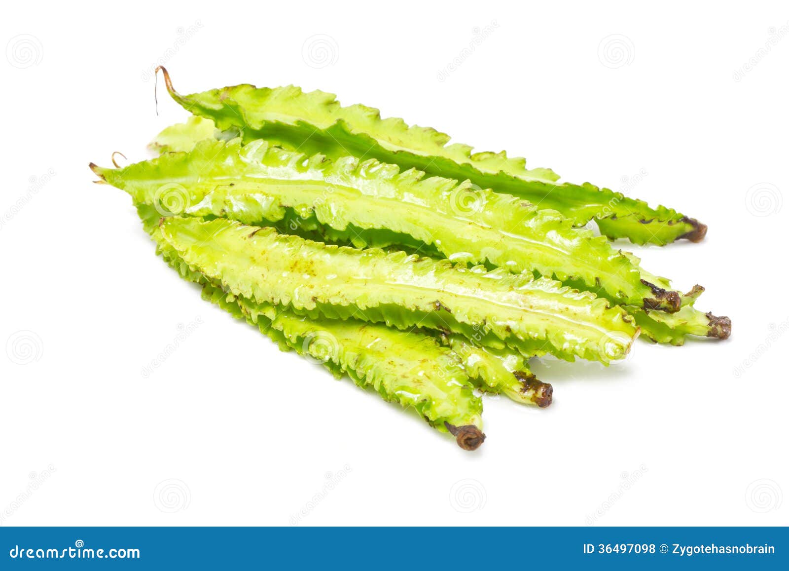 Princess Bean, Winged Bean Or Goa Bean Psophocarpus Tetragonolobus ...