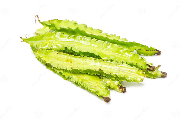 Princess Bean. stock photo. Image of cook, gourmet, fresh - 36497098